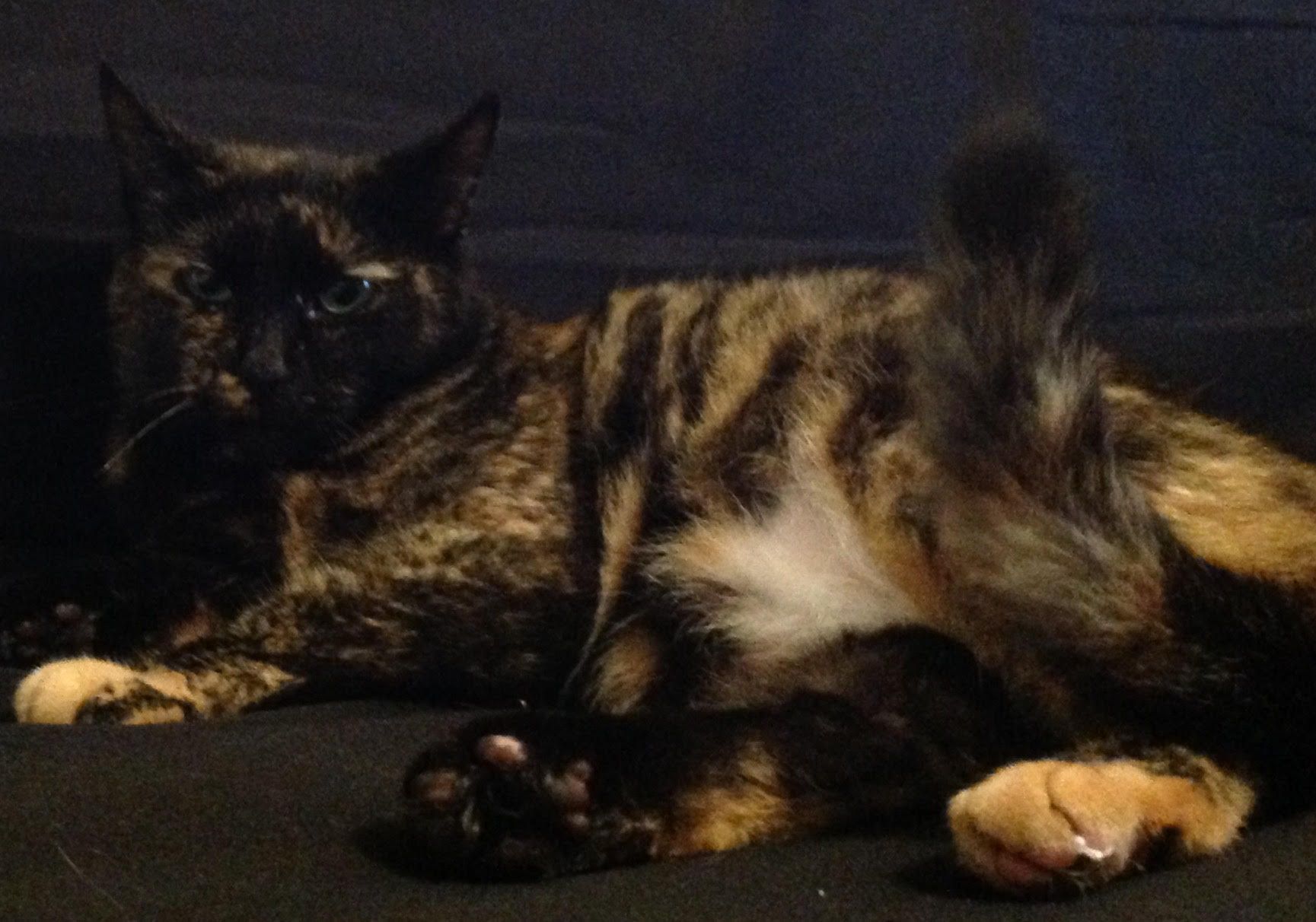 Porch Plexiglass Storm Windows : 5 Steps (with Pictures) - Instructables