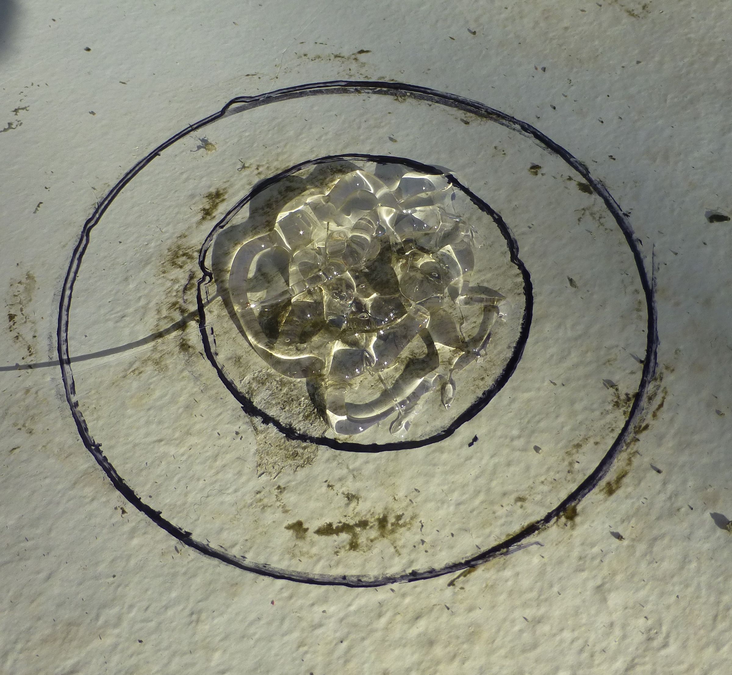 Hose Guide Planters : 7 Steps (with Pictures) - Instructables