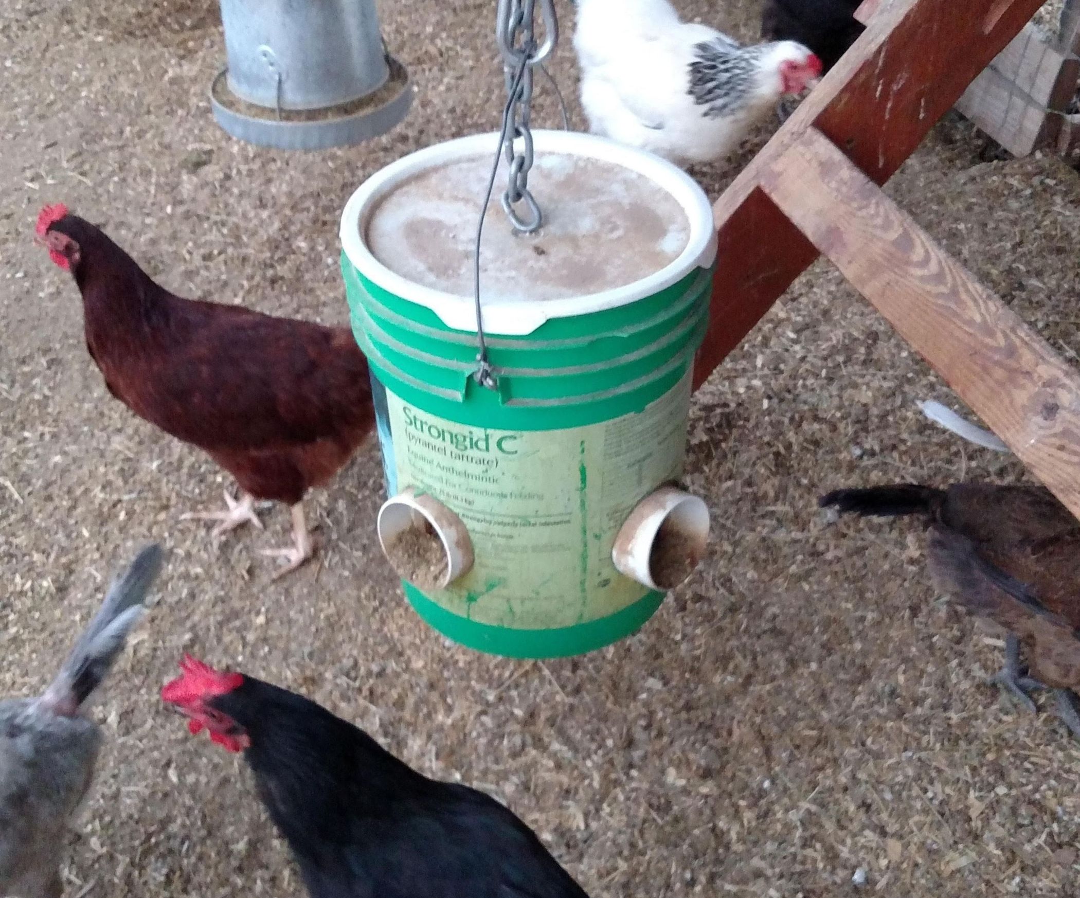 Mess Free Chicken Feeder : 3 Steps (with Pictures) - Instructables