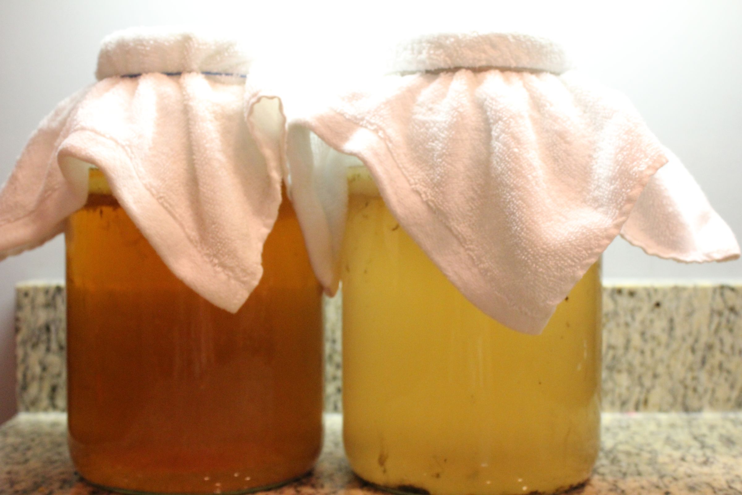 Double Fermented Kombucha : 10 Steps (with Pictures) - Instructables
