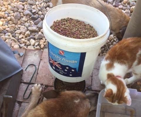 Gravity Feeder : 5 Steps - Instructables