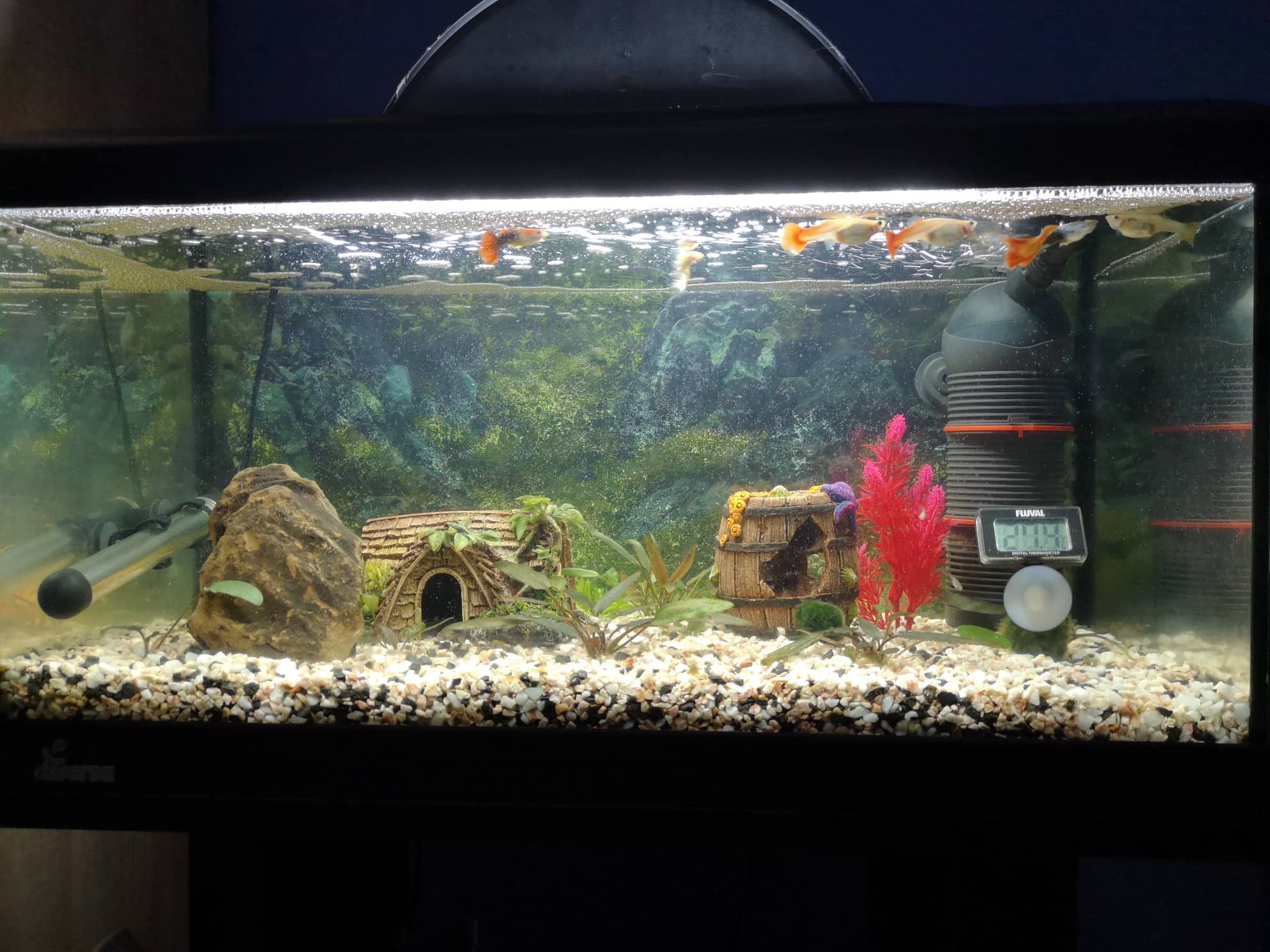 Aquarium Water Cooling System 6 Steps Instructables