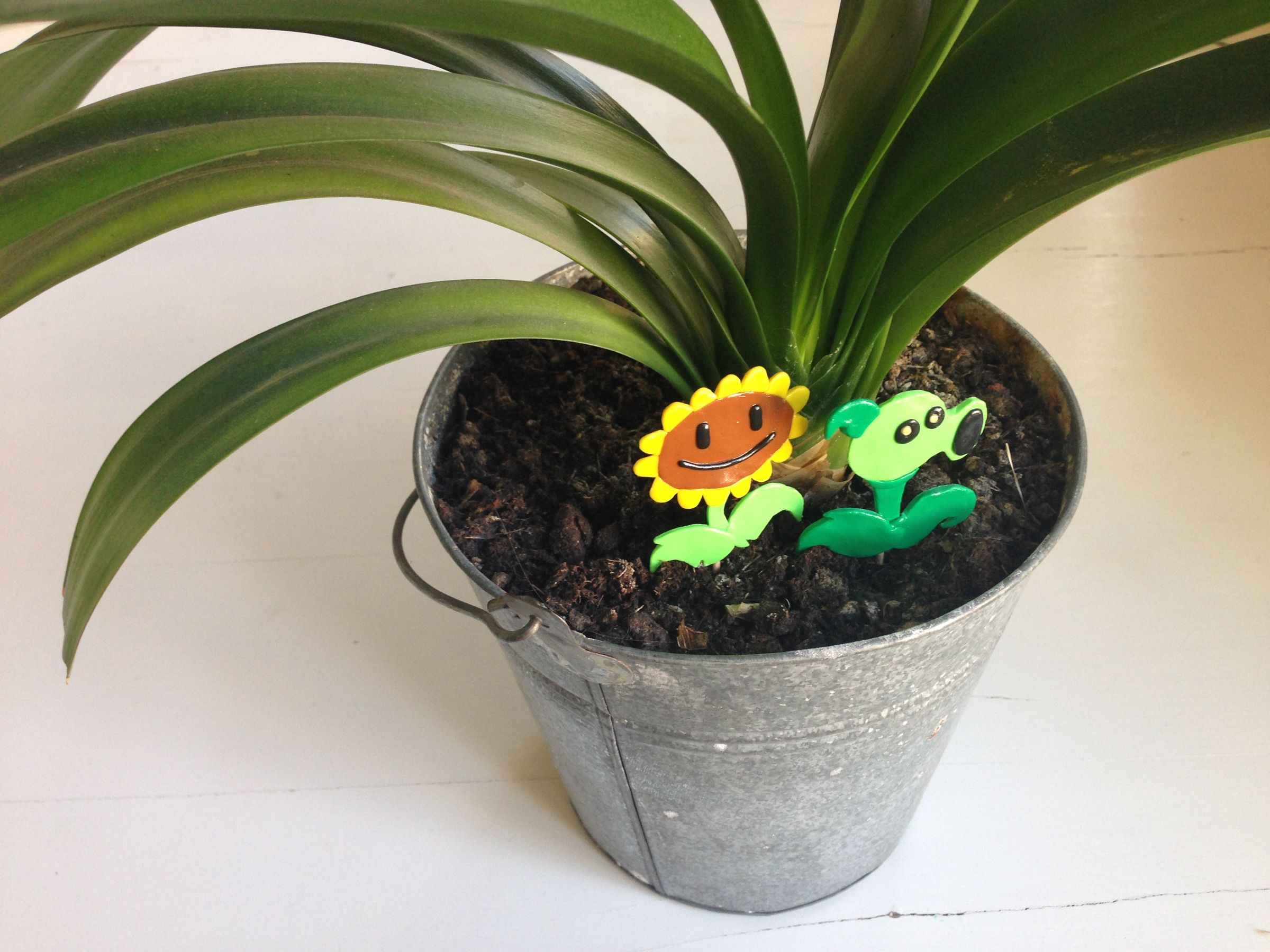 Plant Friends : 7 Steps (with Pictures) - Instructables