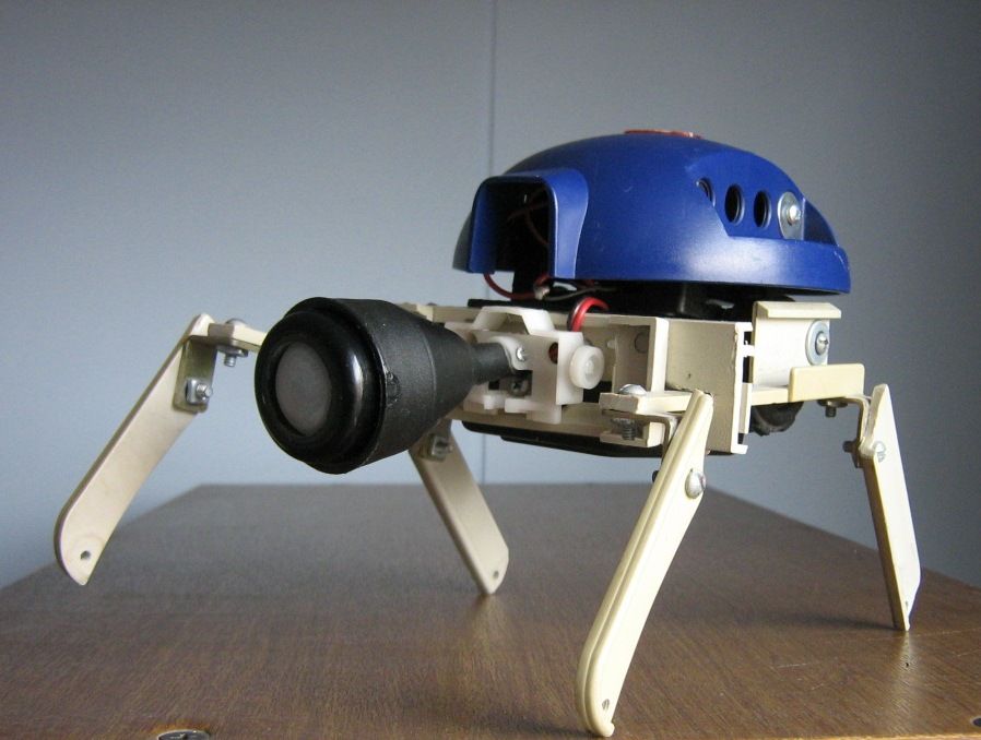 (PURPLE) Robo-Beetle! (with Pictures) - Instructables