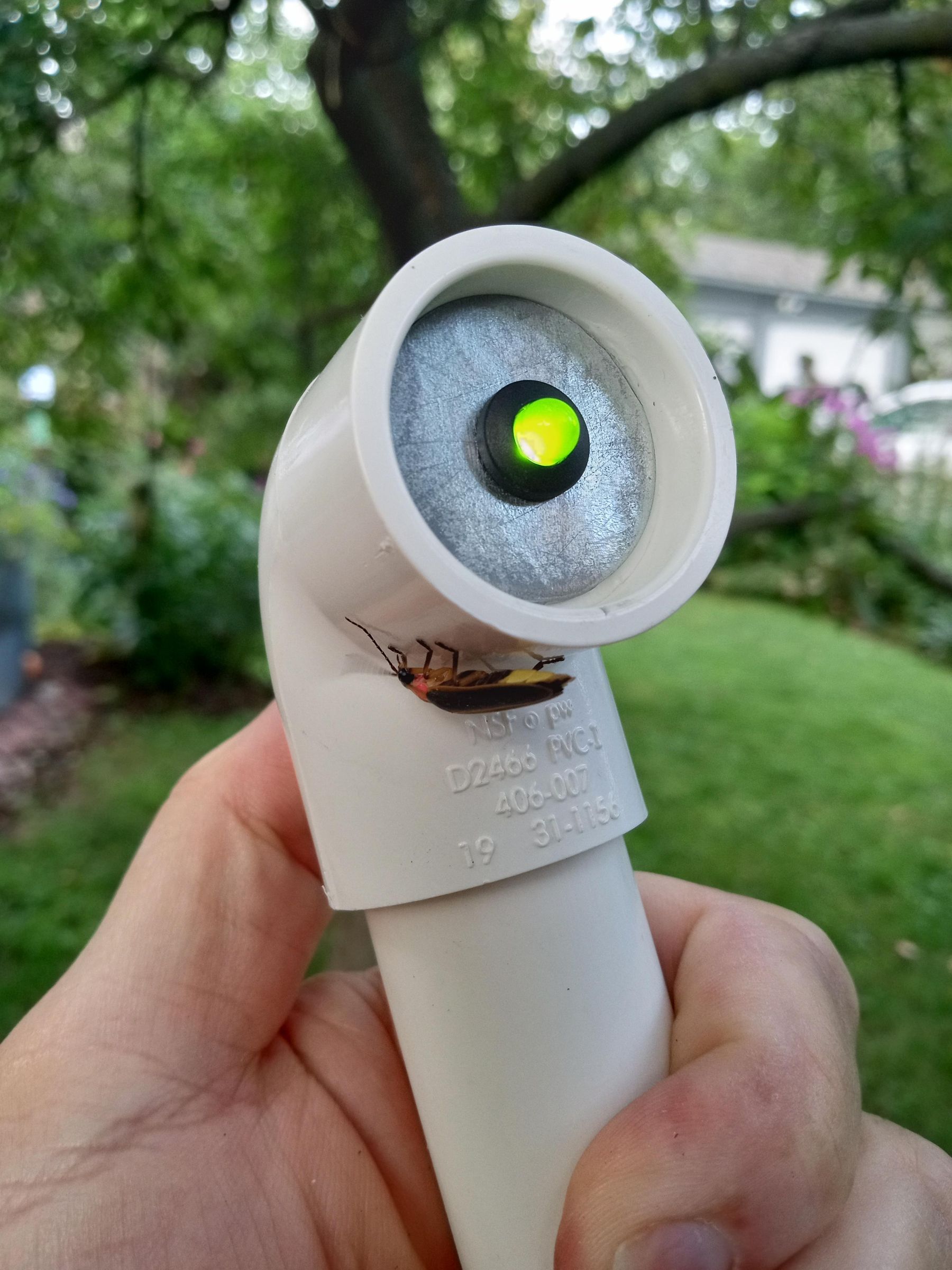 Talk to Fireflies With a Green LED : 8 Steps (with Pictures ...
