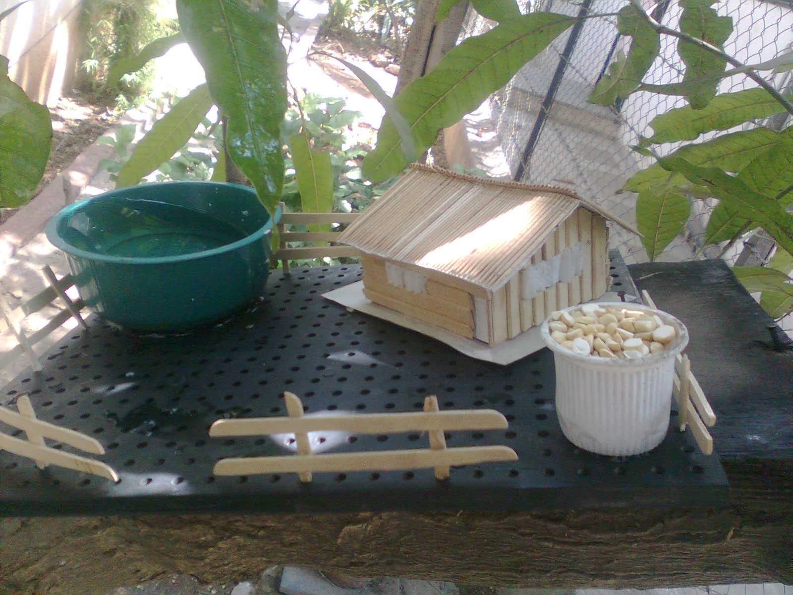Birds Rest Place - Instructables