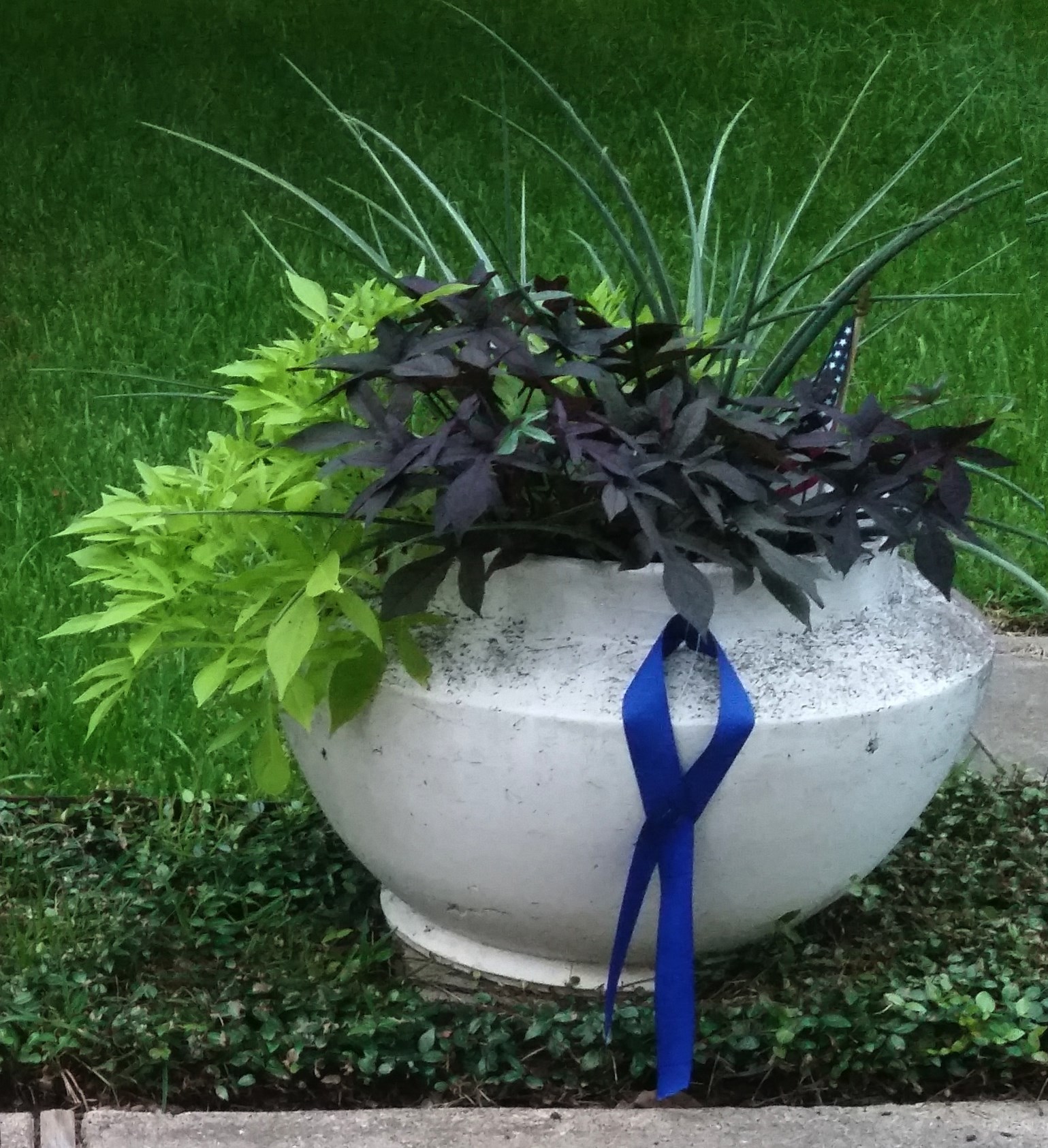 Make a Giant Back the Blue (or Other Color) Awareness Ribbon : 12 Steps ...