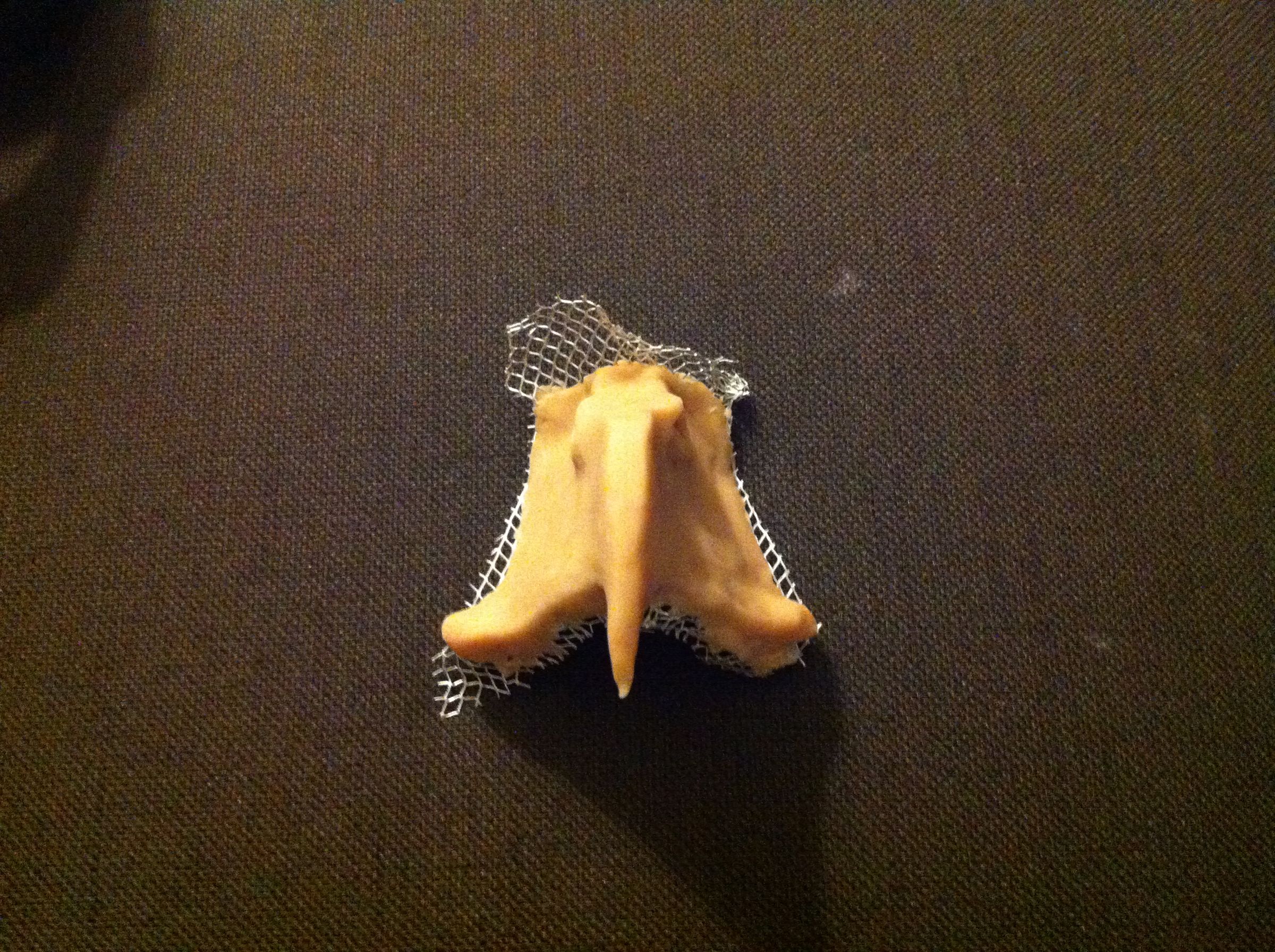 Owl Mask (part 1 of "Man in Strigiform" Costume) - Instructables