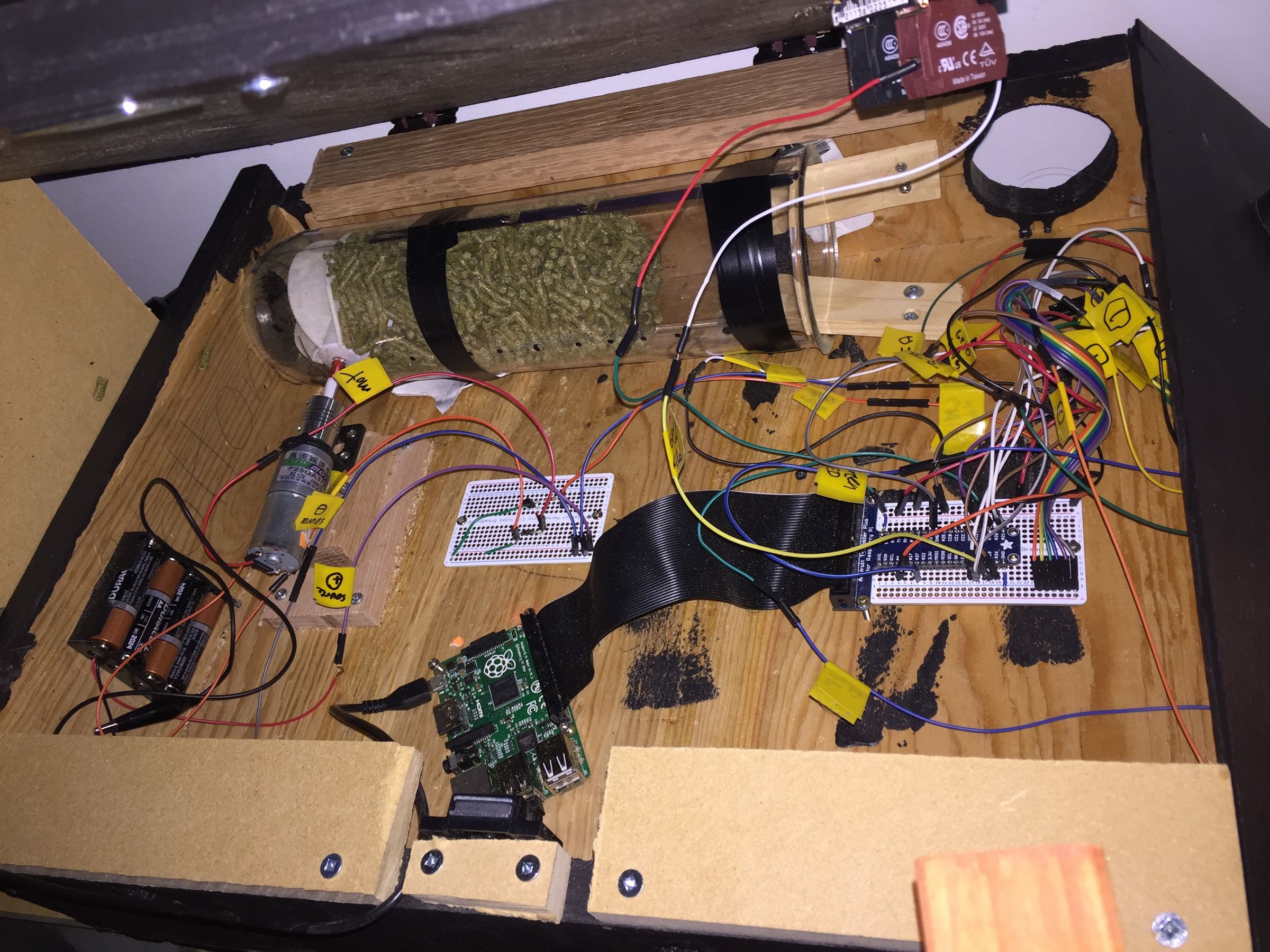 Internet Enabled Raspberry Pi Pet Feeder : 9 Steps (with Pictures) - Instructables