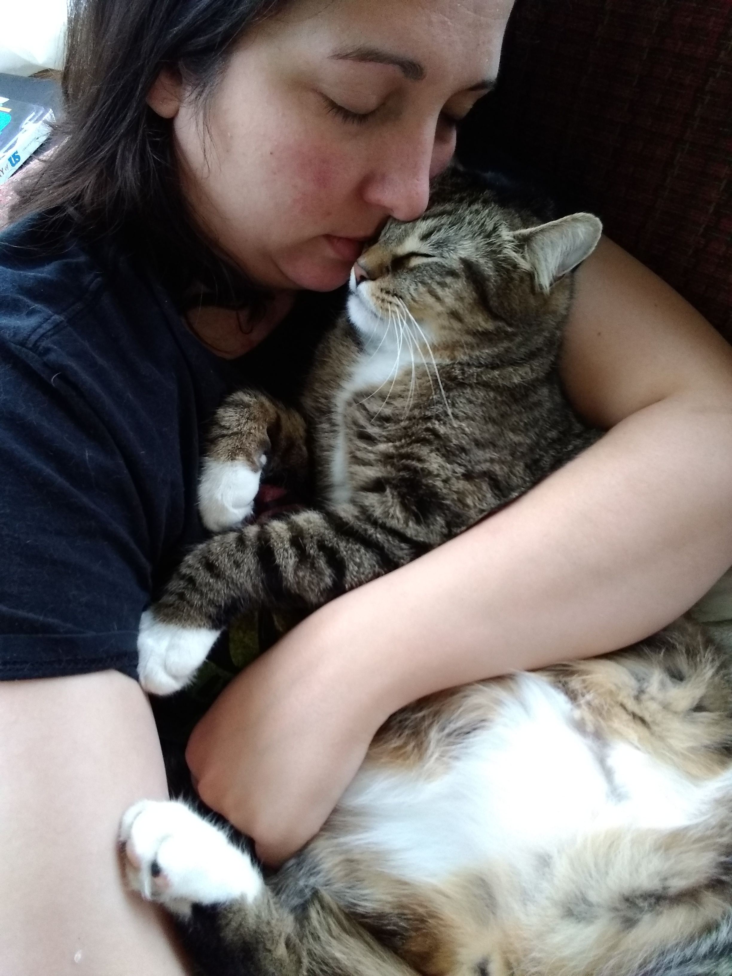 How To: Lull Your Cat to Sleep : 14 Steps (with Pictures) - Instructables