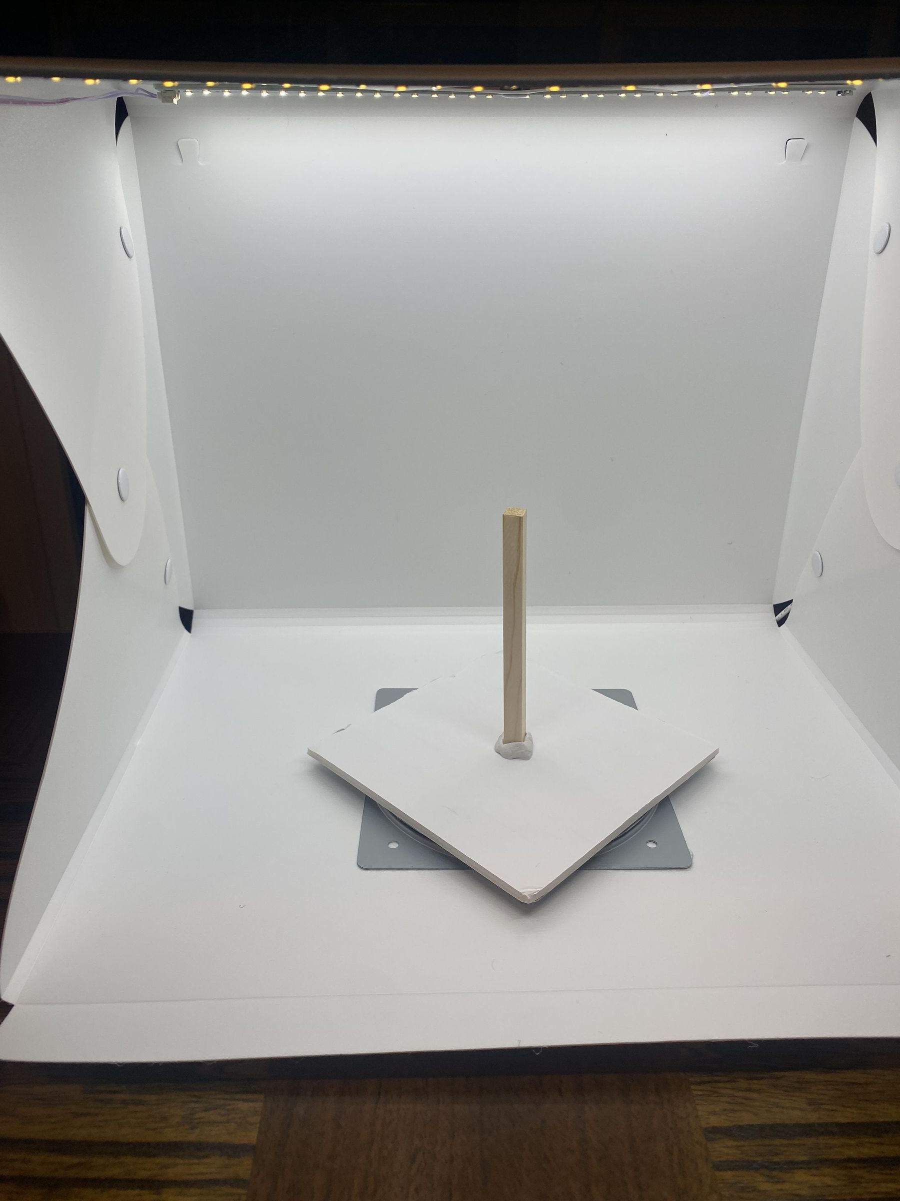 Mushroom Photogrammetry to Cufflinks : 7 Steps (with Pictures ...