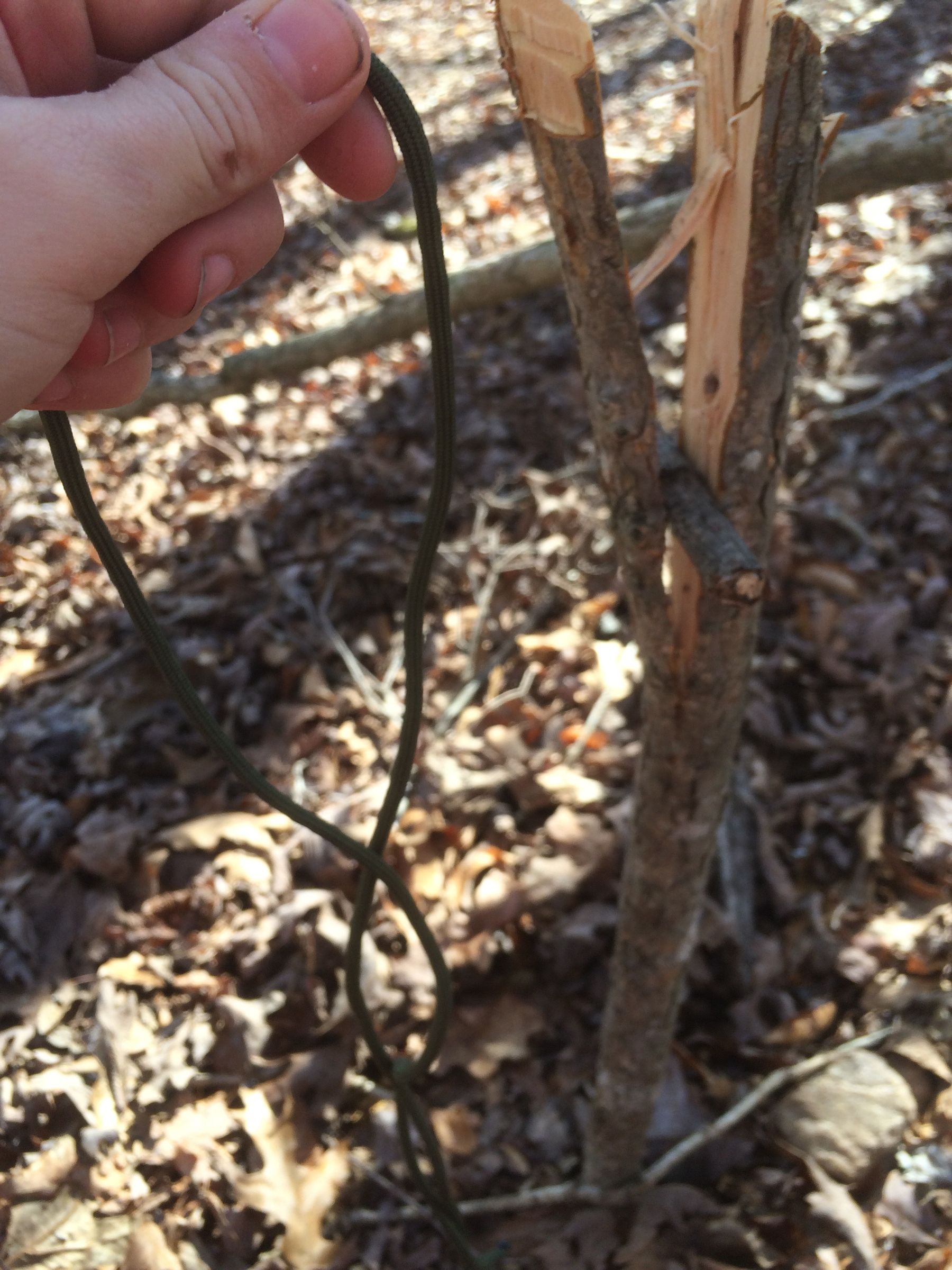 Primitive Spear : 7 Steps (with Pictures) - Instructables