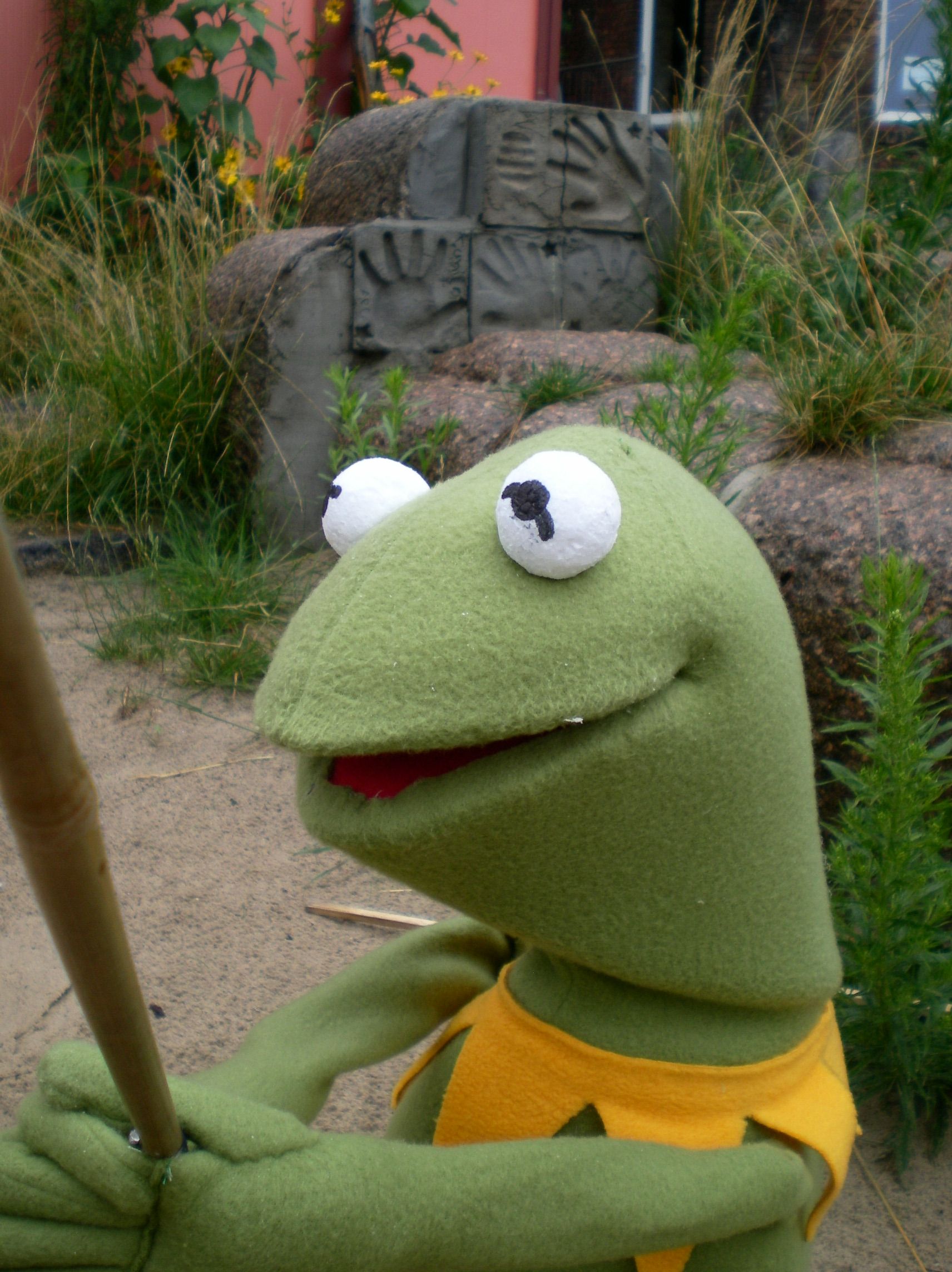 Kermit the Frog Clone : 10 Steps (with Pictures) - Instructables