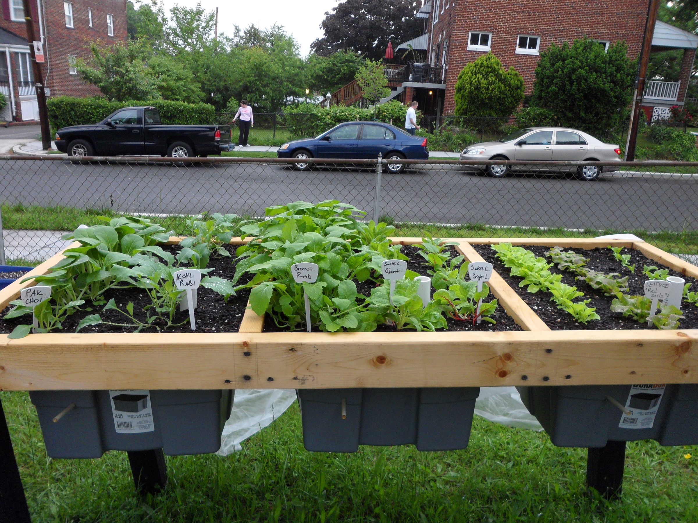 Self-Watering Veggie Table : 15 Steps (with Pictures) - Instructables