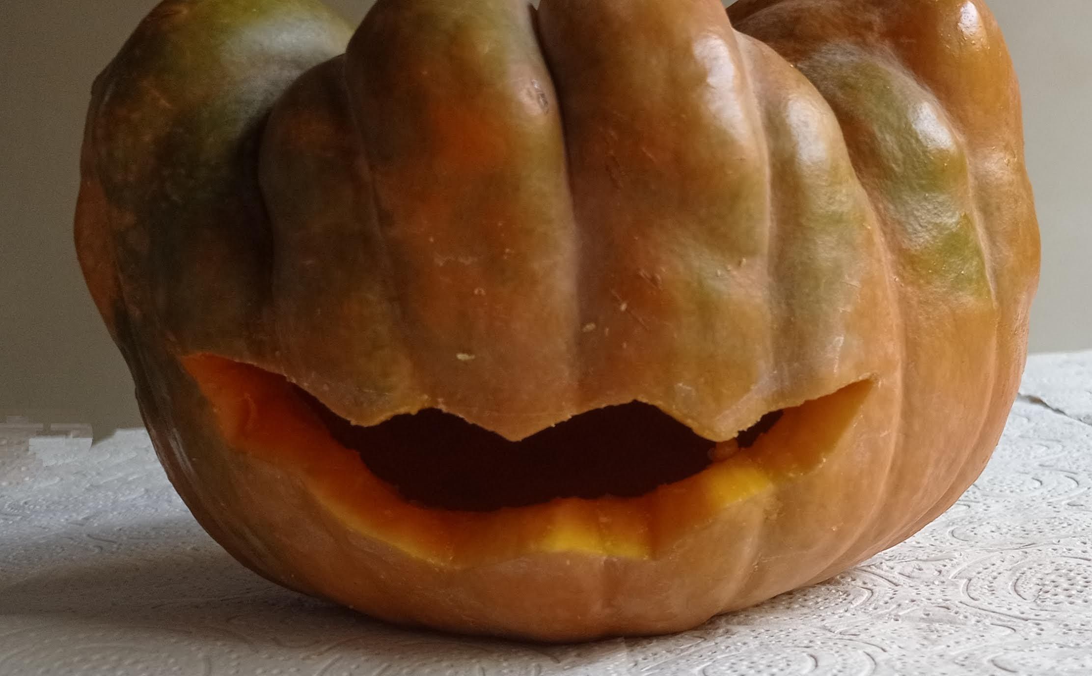 Carnivorous Pumpkin : 4 Steps (with Pictures) - Instructables