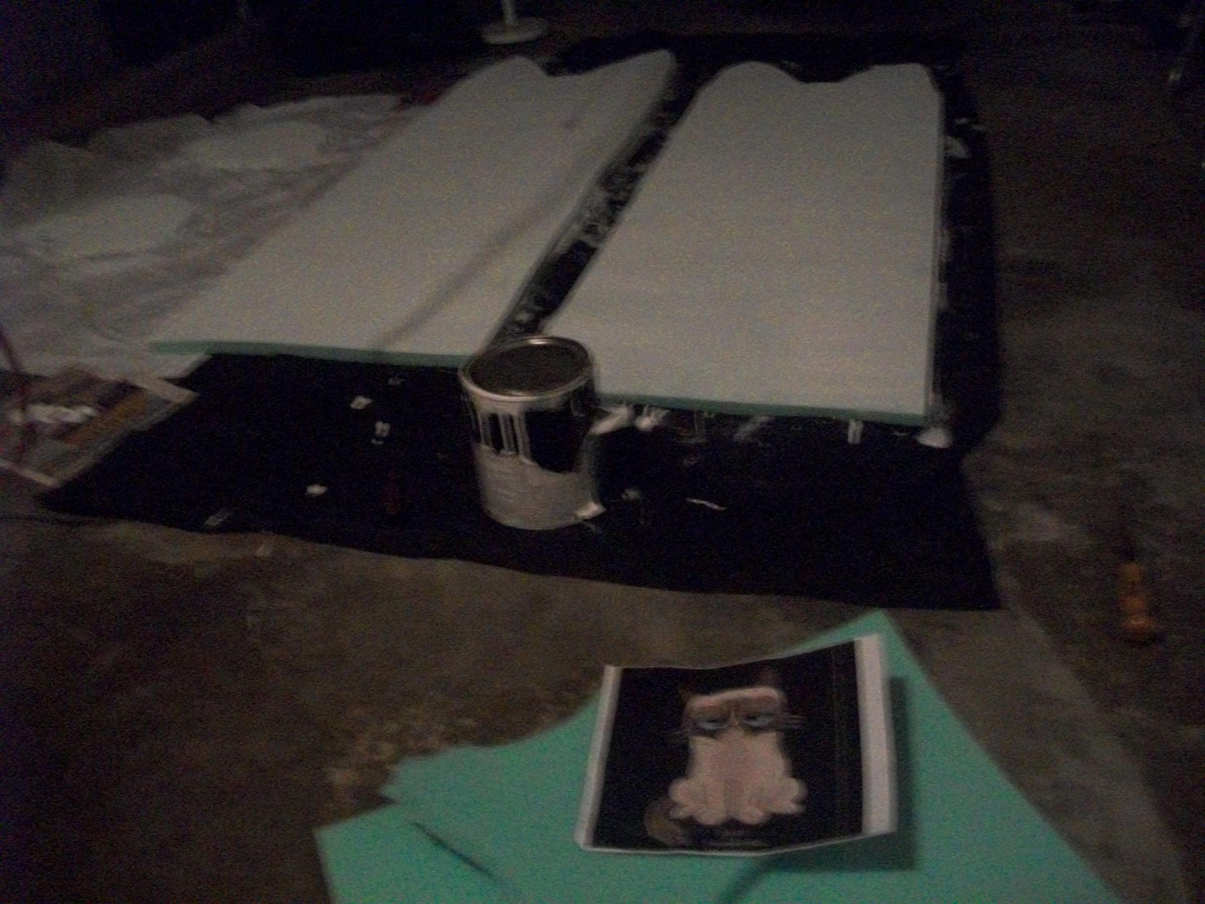 Diy Grumpy Cat Costume