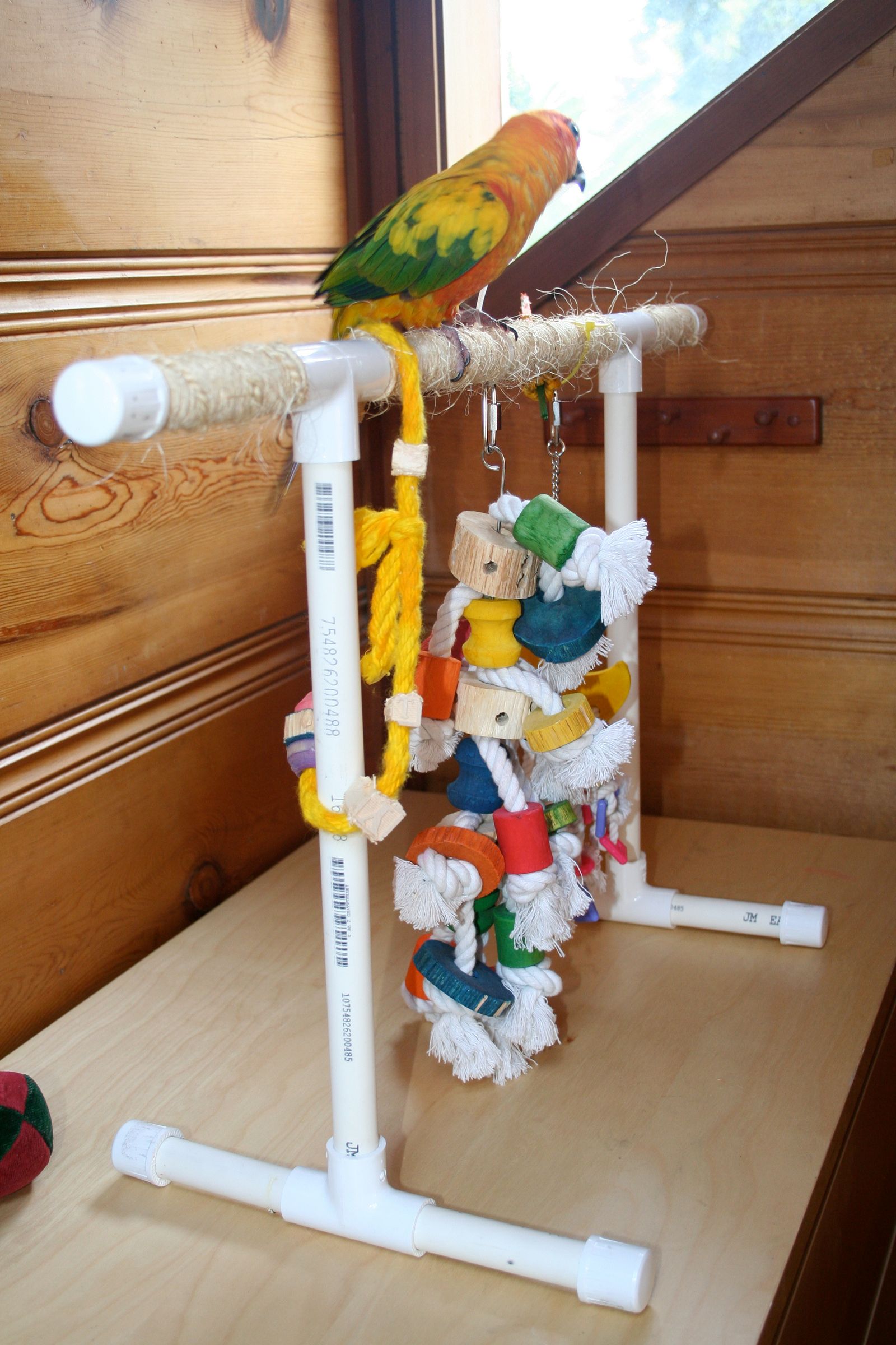 Enrichment for Captive Birds - PVC Perch/Play Stand : 7 Steps ...