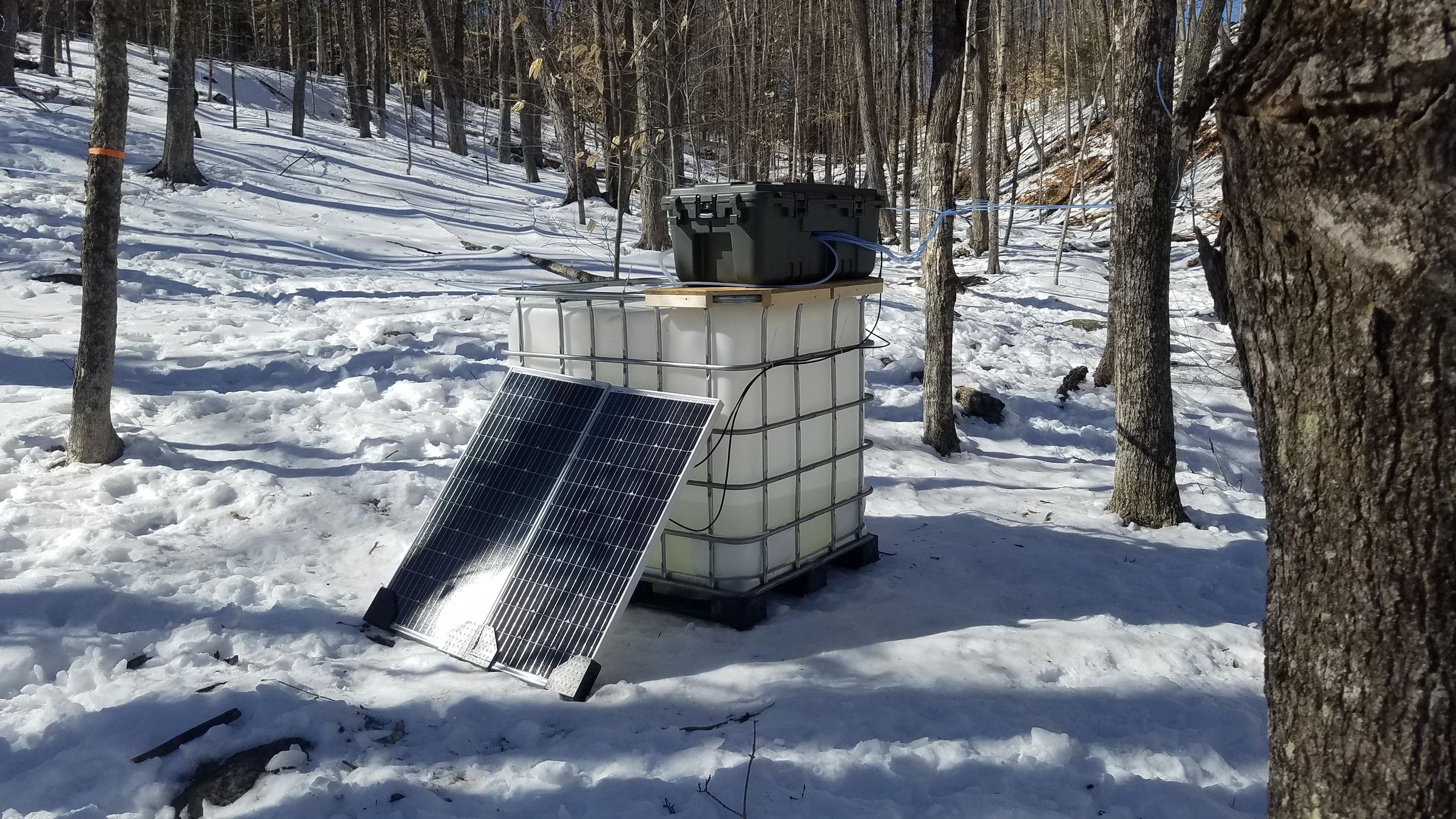 Off Grid Solar Powered Maple Sap Vacuum System : 7 Steps (with Pictures ...