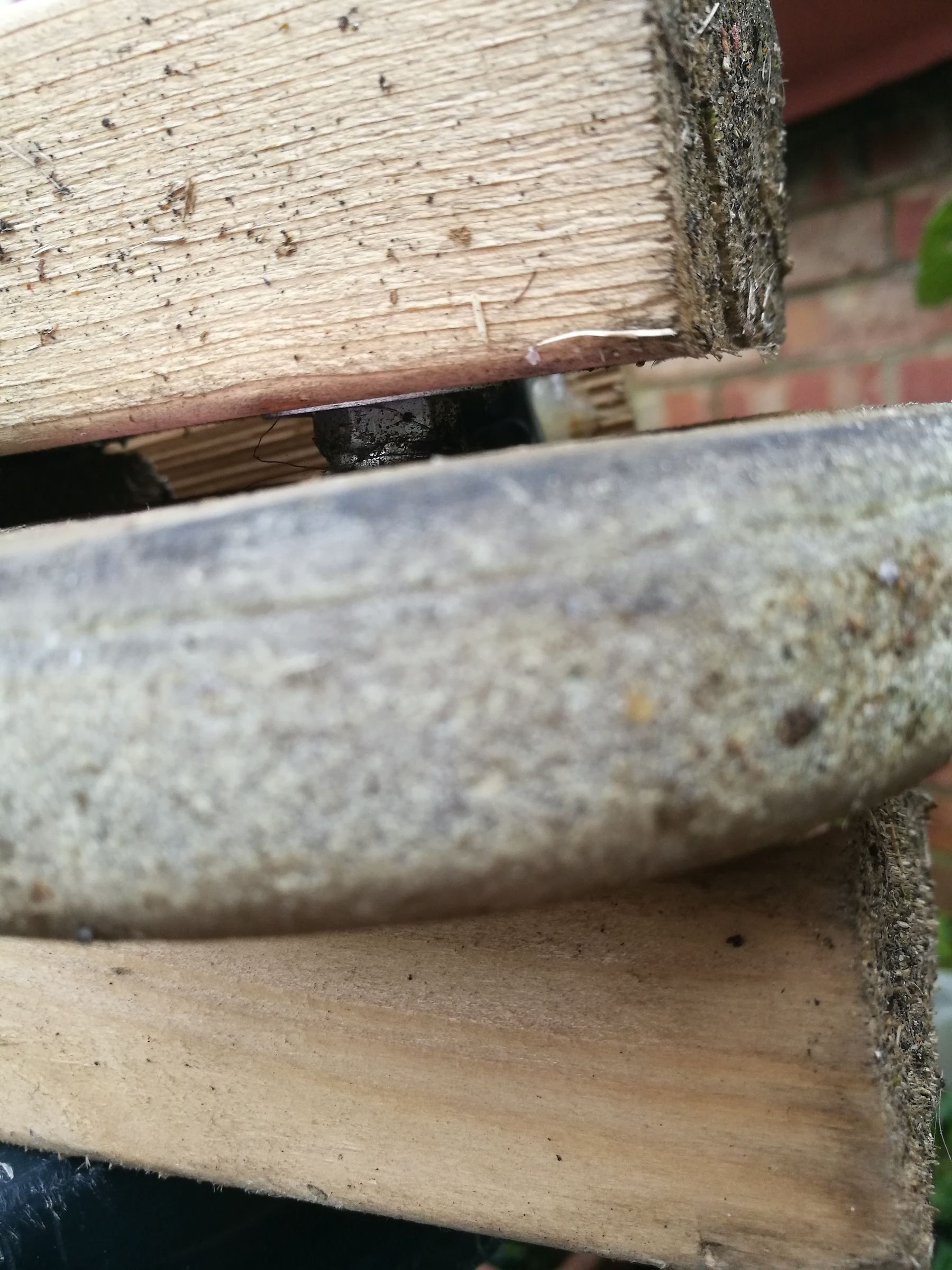 DIY Wooden Scooter : 7 Steps (with Pictures) - Instructables