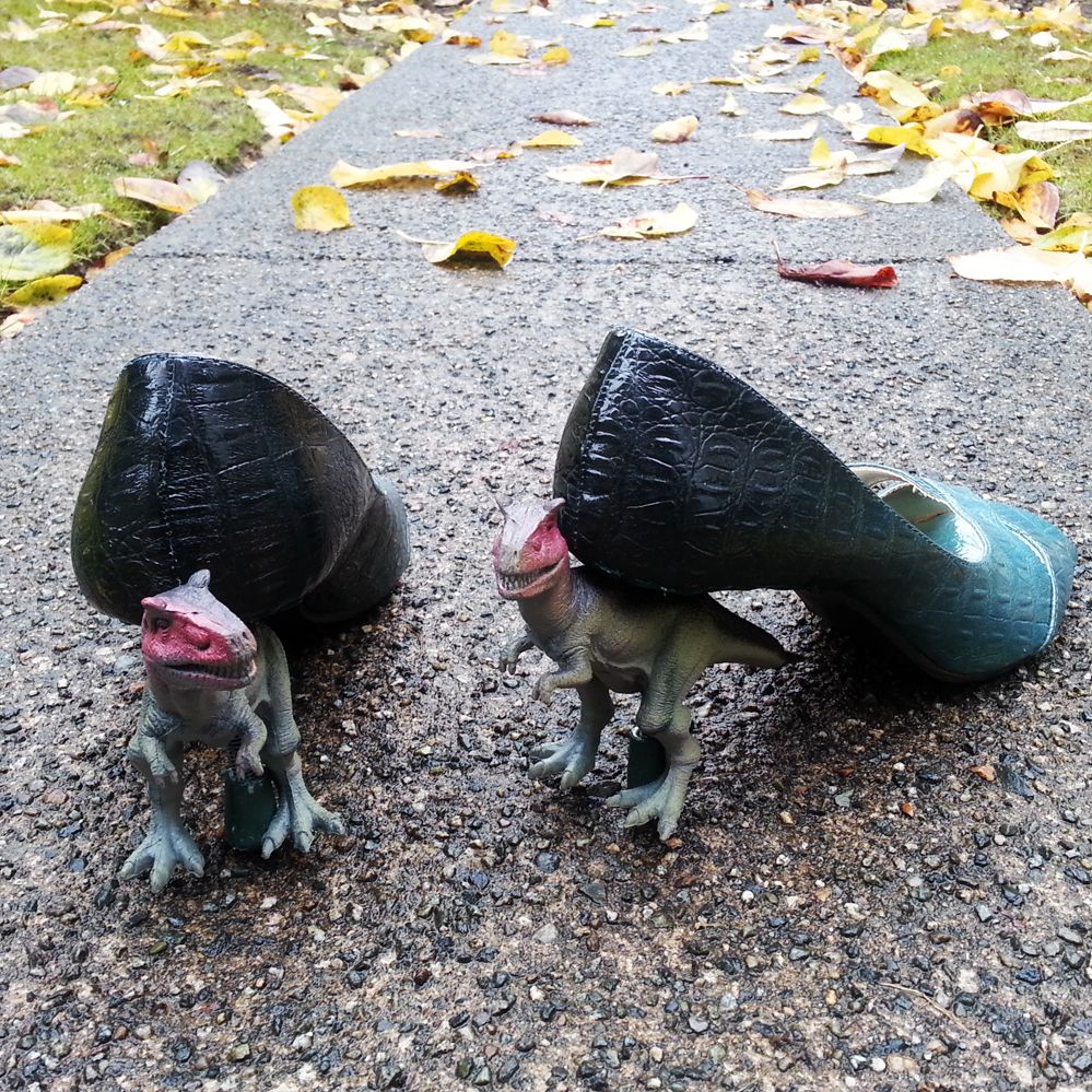 Dinosaur Heels : 8 Steps (with Pictures) - Instructables