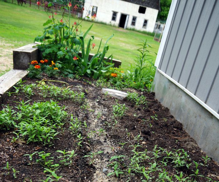 Rain Gutters Out of 3″ PVC Pipe, DIY How To! (with Pictures ...