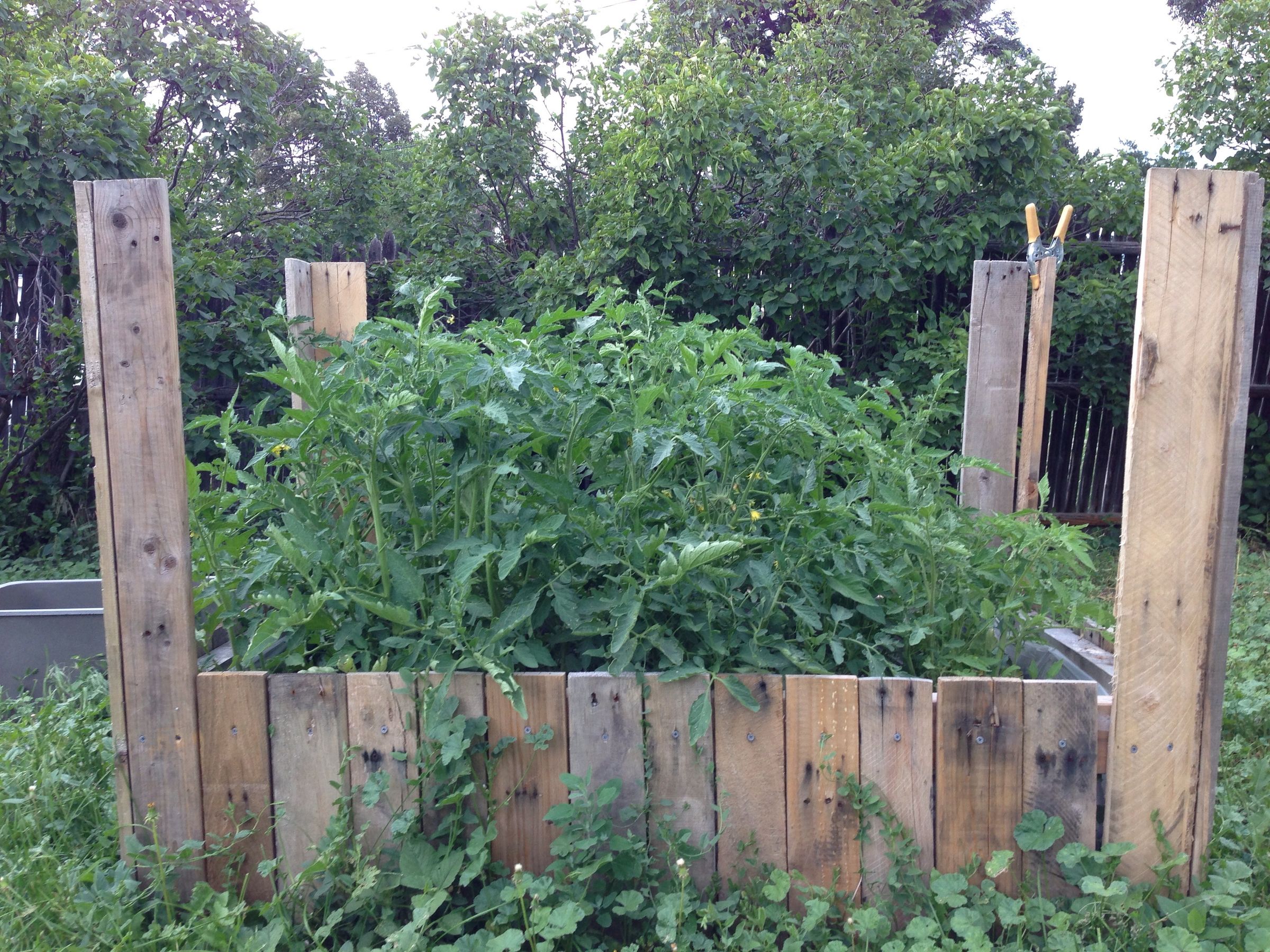 Raised Bed Pallet Planter *Updated August 21st, 2015* : 9 Steps (with ...