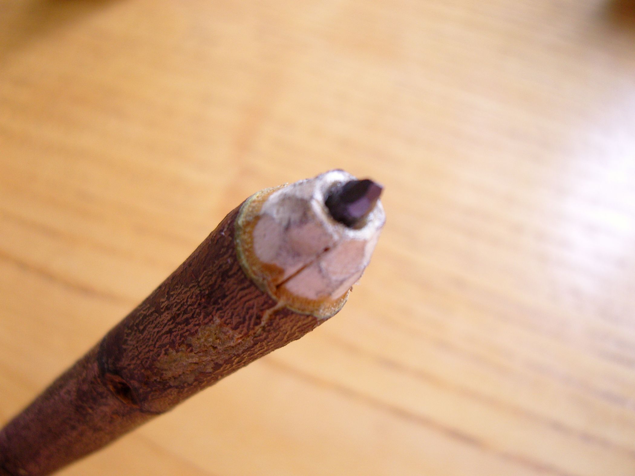 Stick-Pencil : 10 Steps - Instructables
