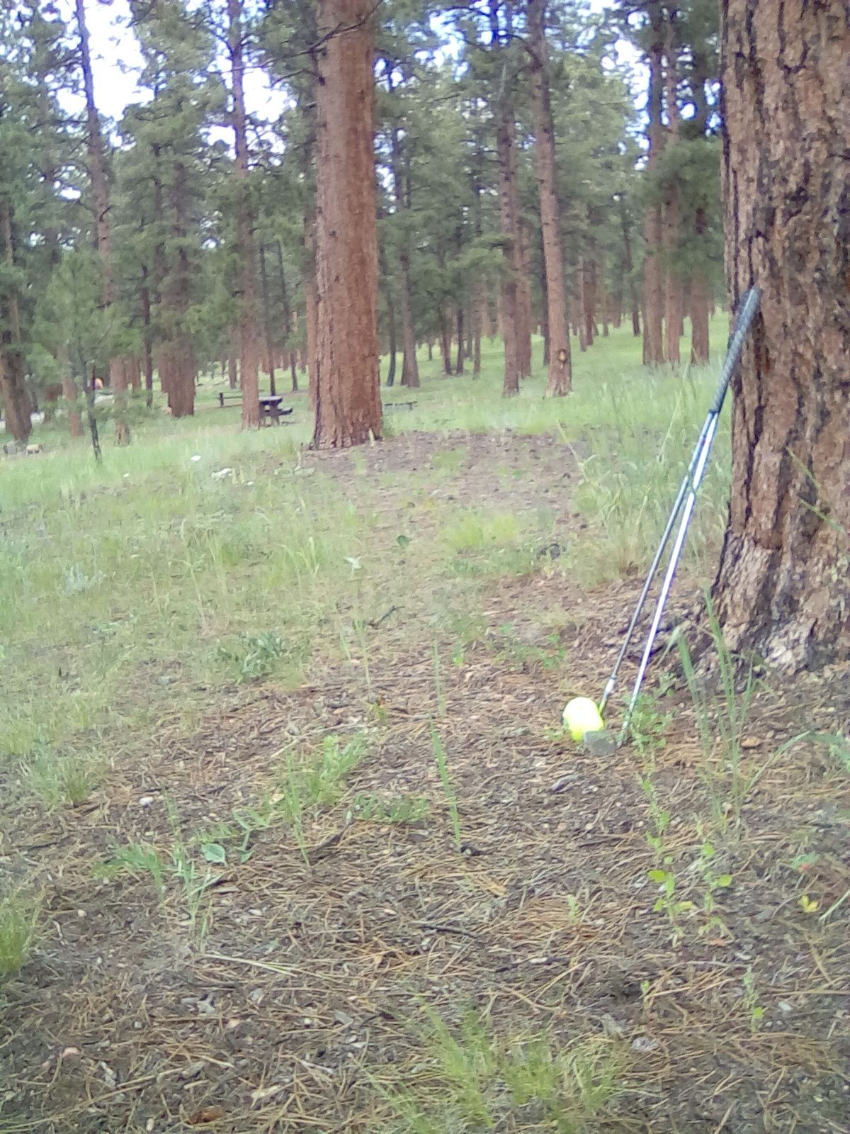 Cow Pasture Pool : 3 Steps - Instructables