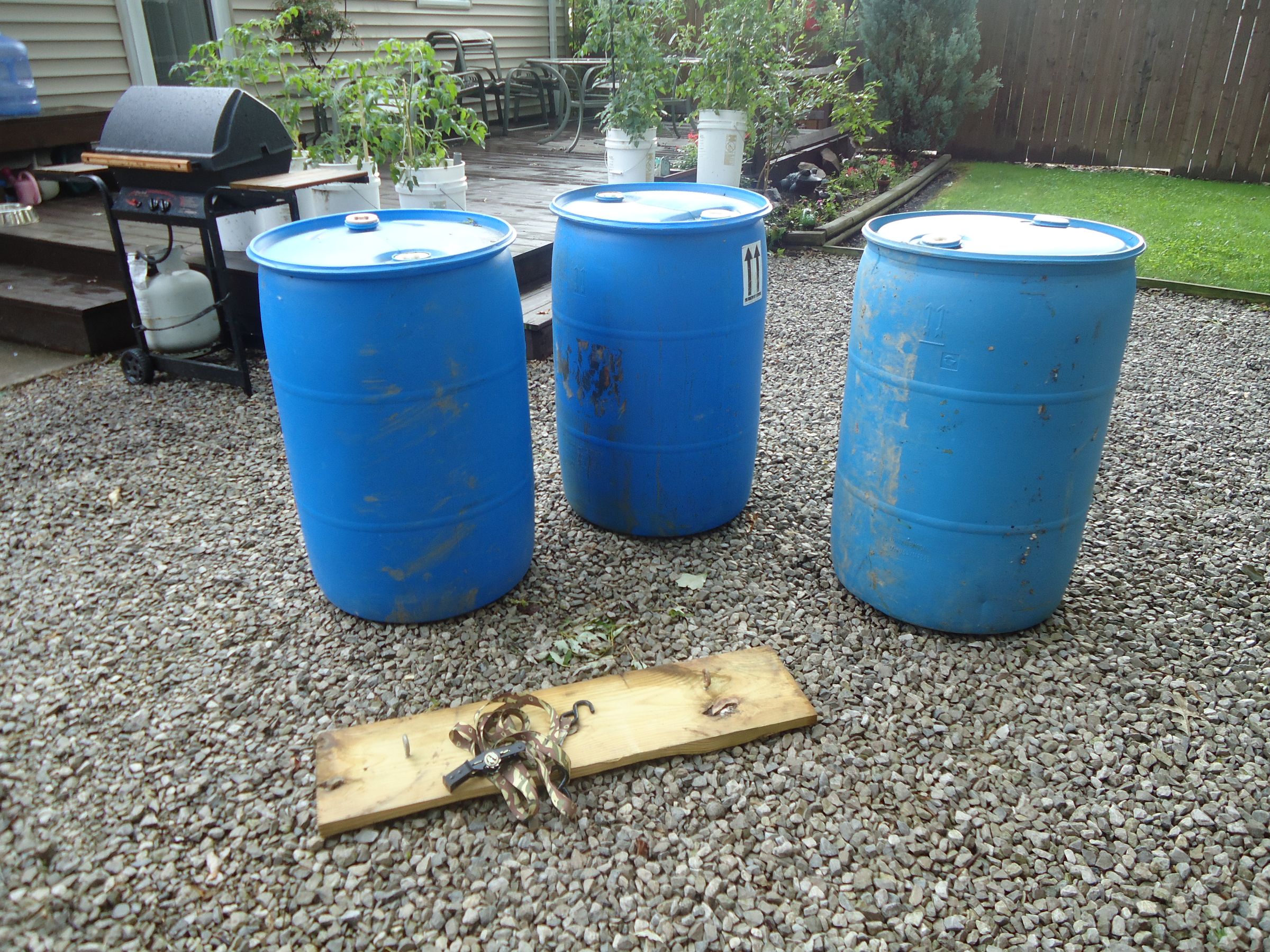 Barrel With Worms Gardening