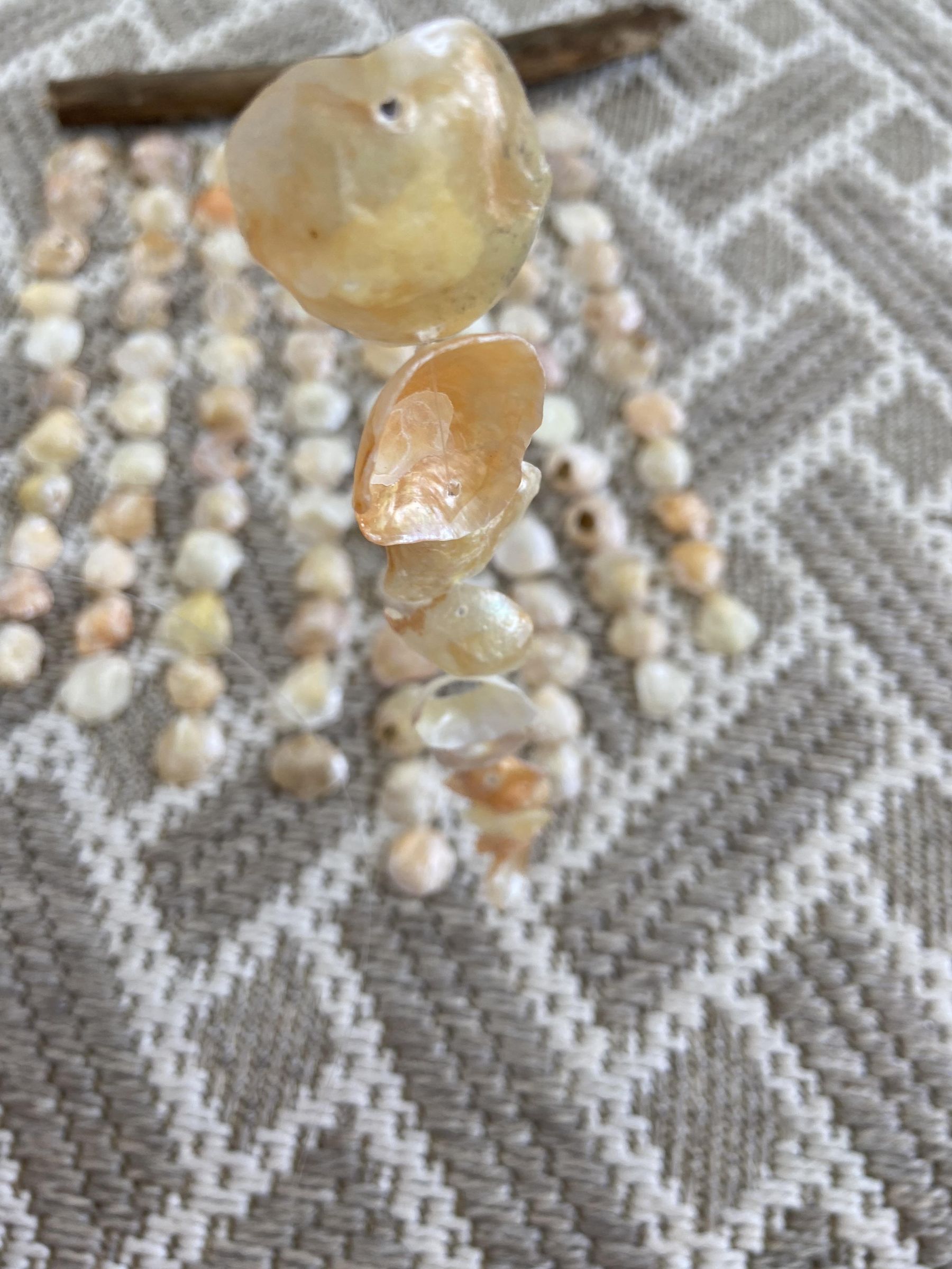 Seashell Wall Hanging : 6 Steps (with Pictures) - Instructables