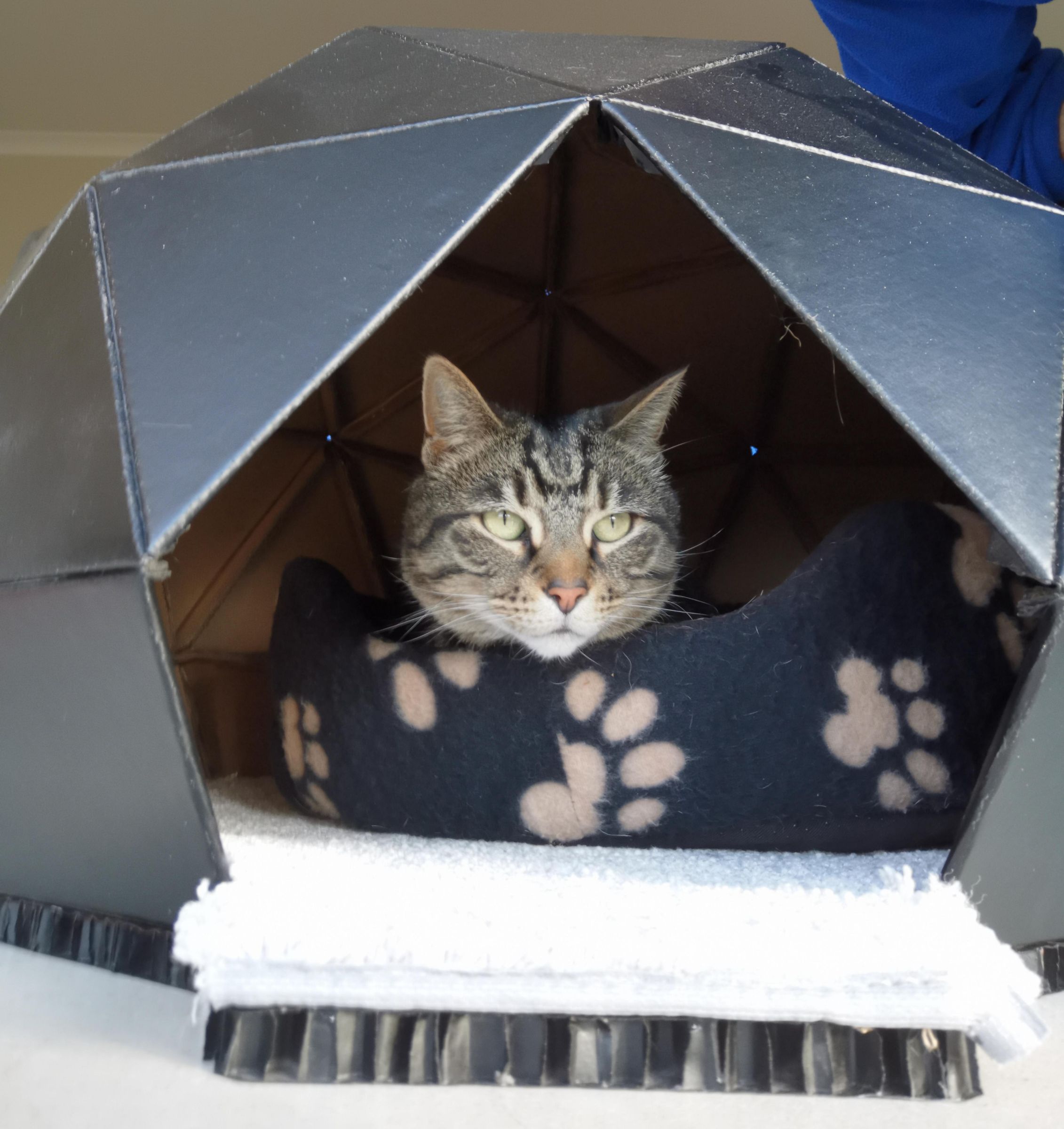 Cardboard Geodesic Dome : 7 Steps (with Pictures) - Instructables