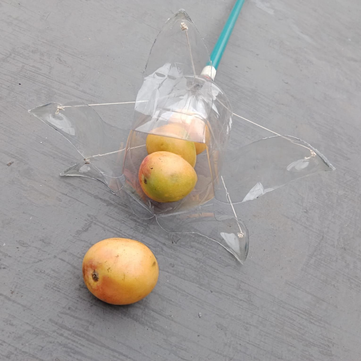 Homemade Fruit Picker : 14 Steps (with Pictures) - Instructables