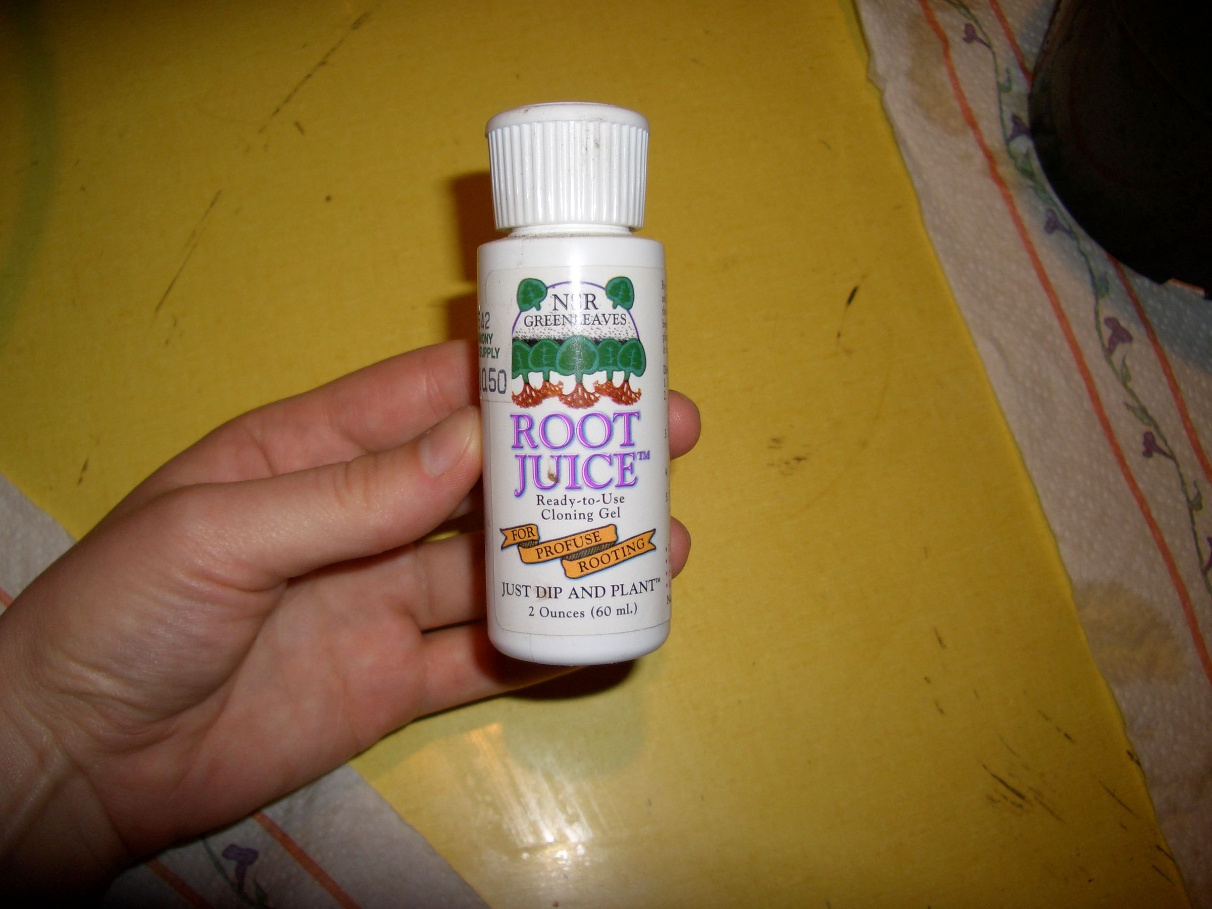 Rooting Plant Cuttings : 12 Steps - Instructables