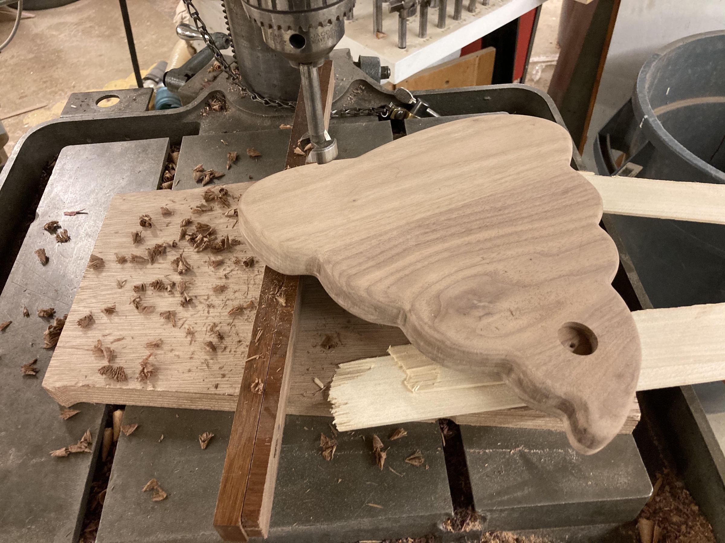 The Stool Sample : 10 Steps (with Pictures) - Instructables