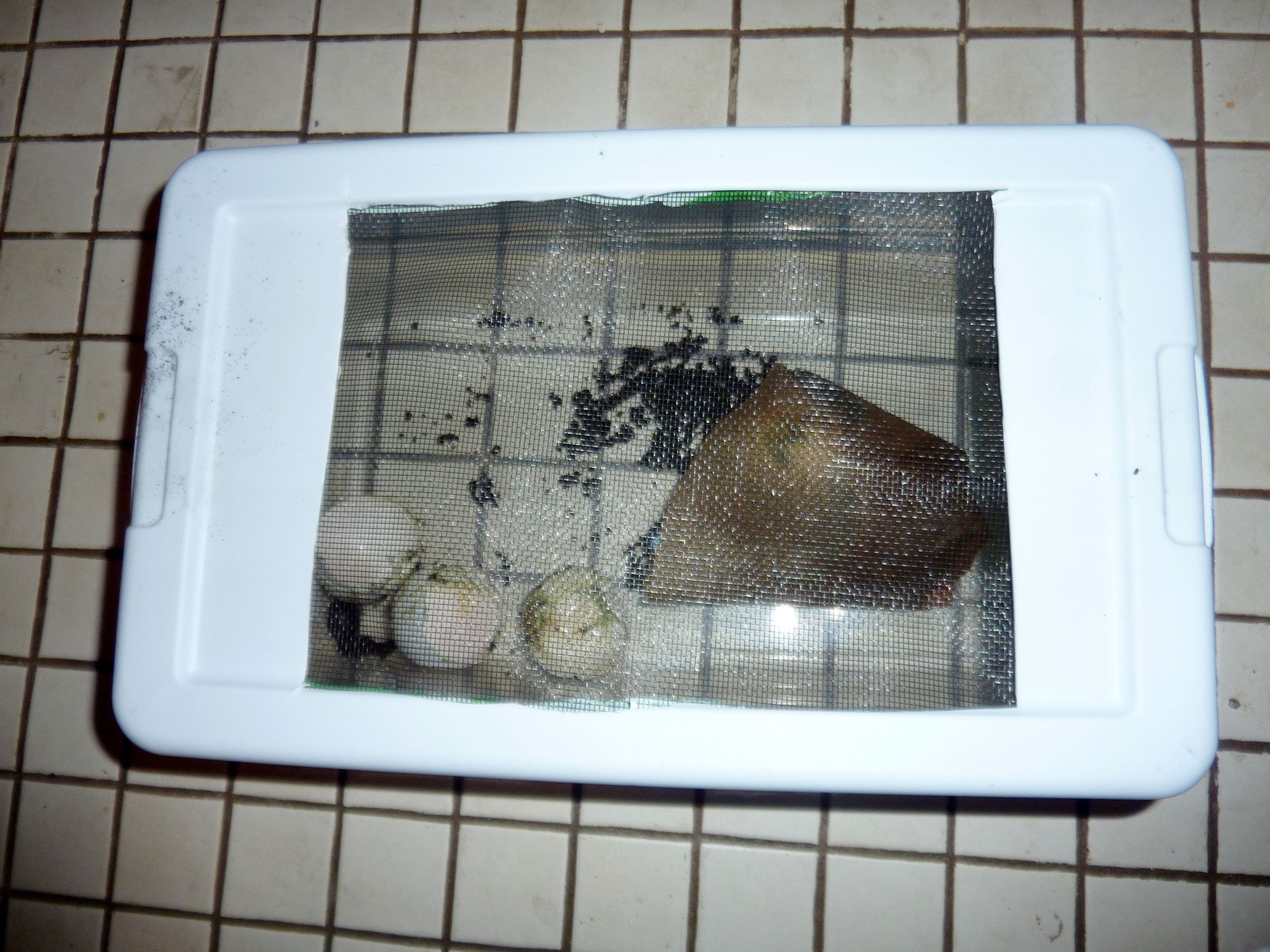 Nice Smelling Hybrid Indoor Compost Bin and Planter : 6 Steps (with ...