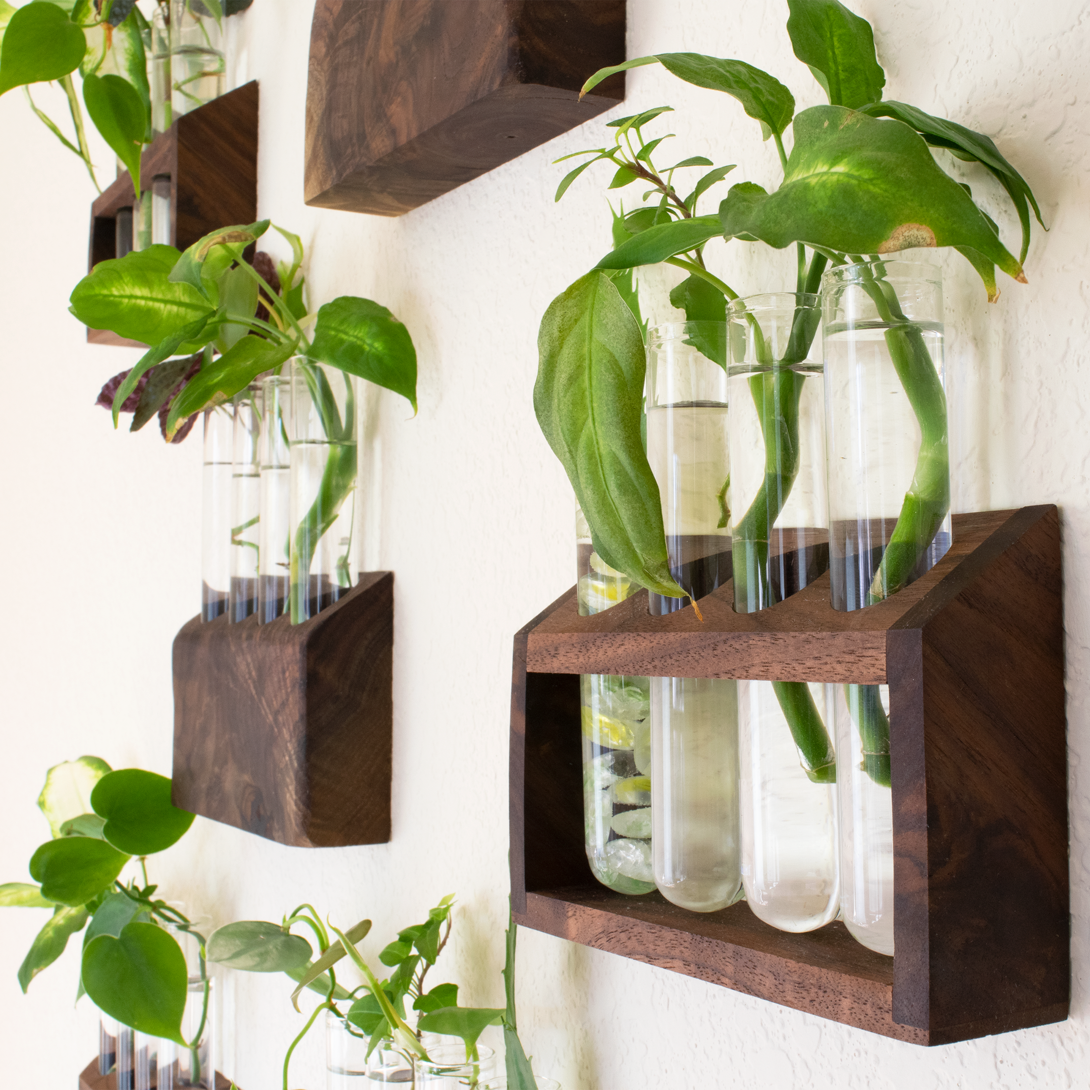 Propagation Station (3 Designs) : 10 Steps (with Pictures) - Instructables