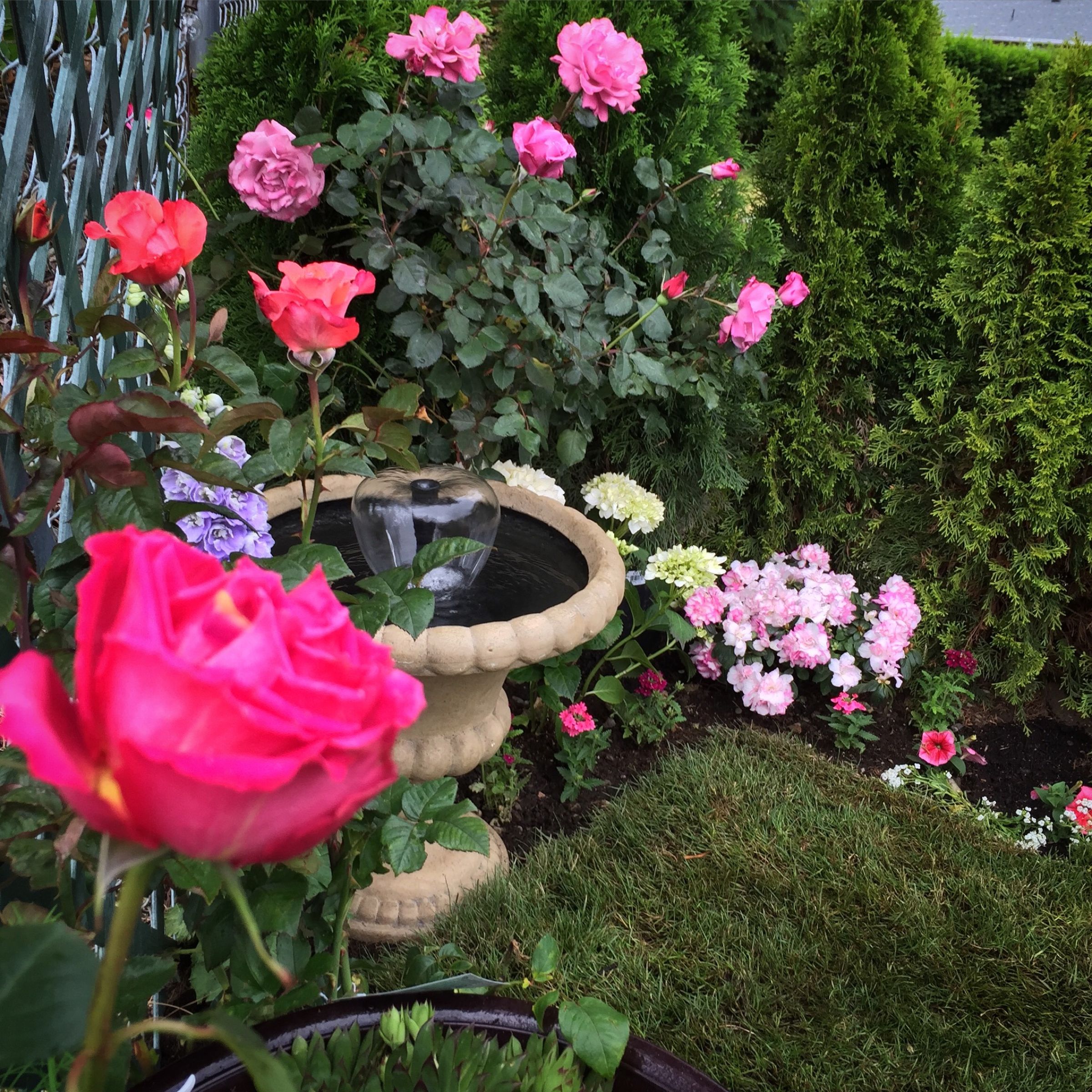 Secret Garden : 9 Steps (with Pictures) - Instructables