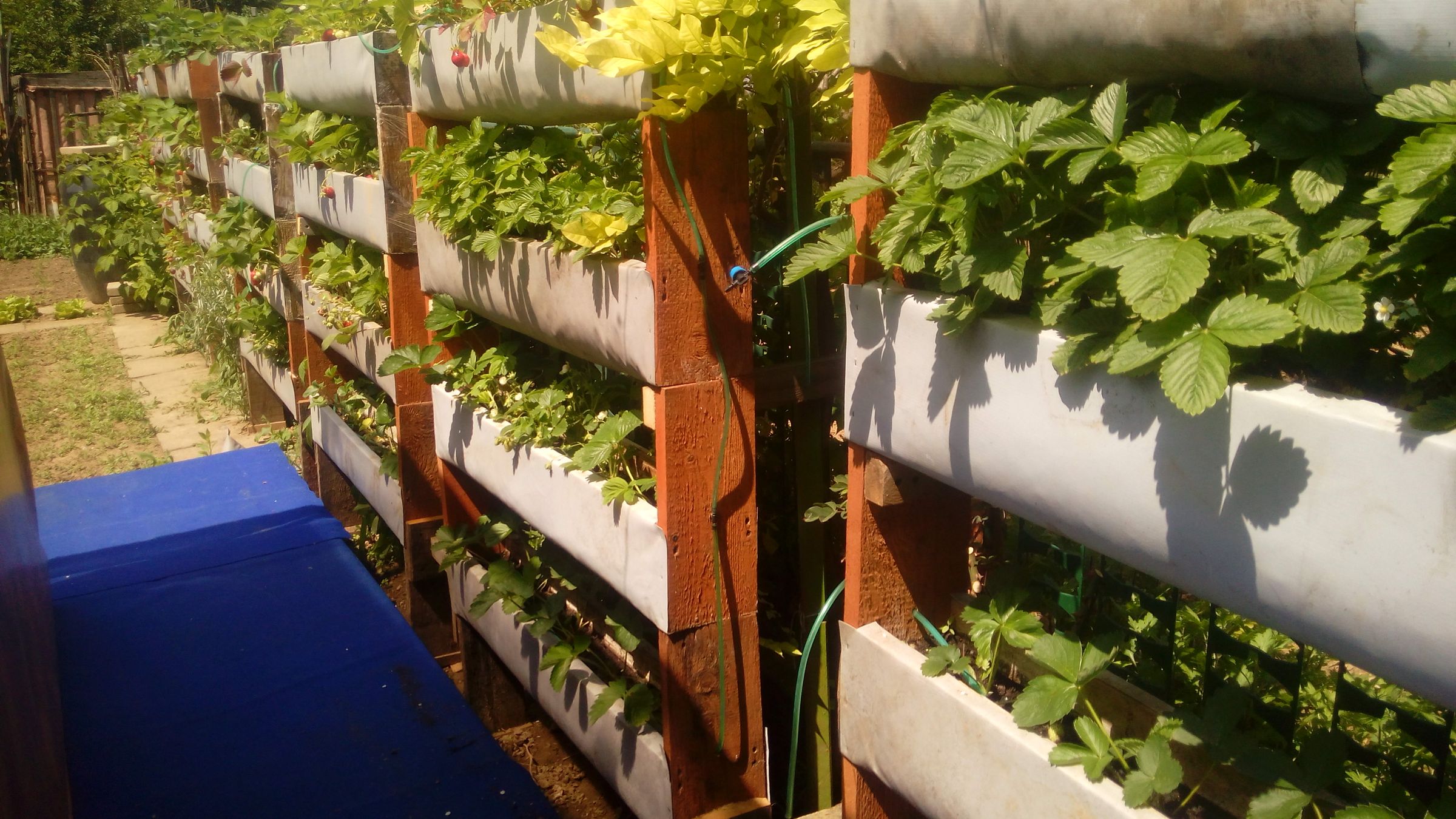 Modular Vertical Garden. : 5 Steps (with Pictures) - Instructables