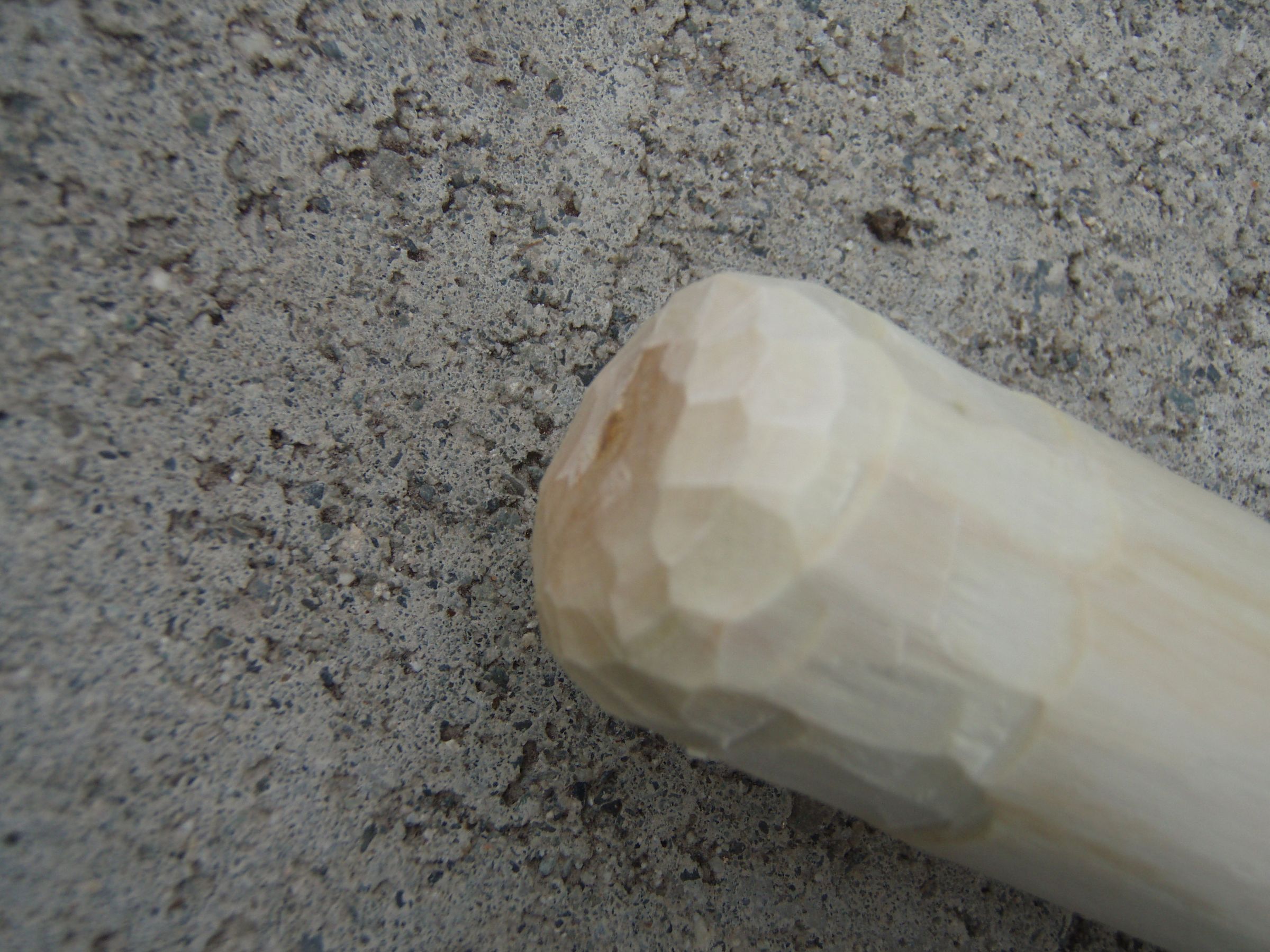Carve a Staff / Walking Stick : 16 Steps (with Pictures) - Instructables
