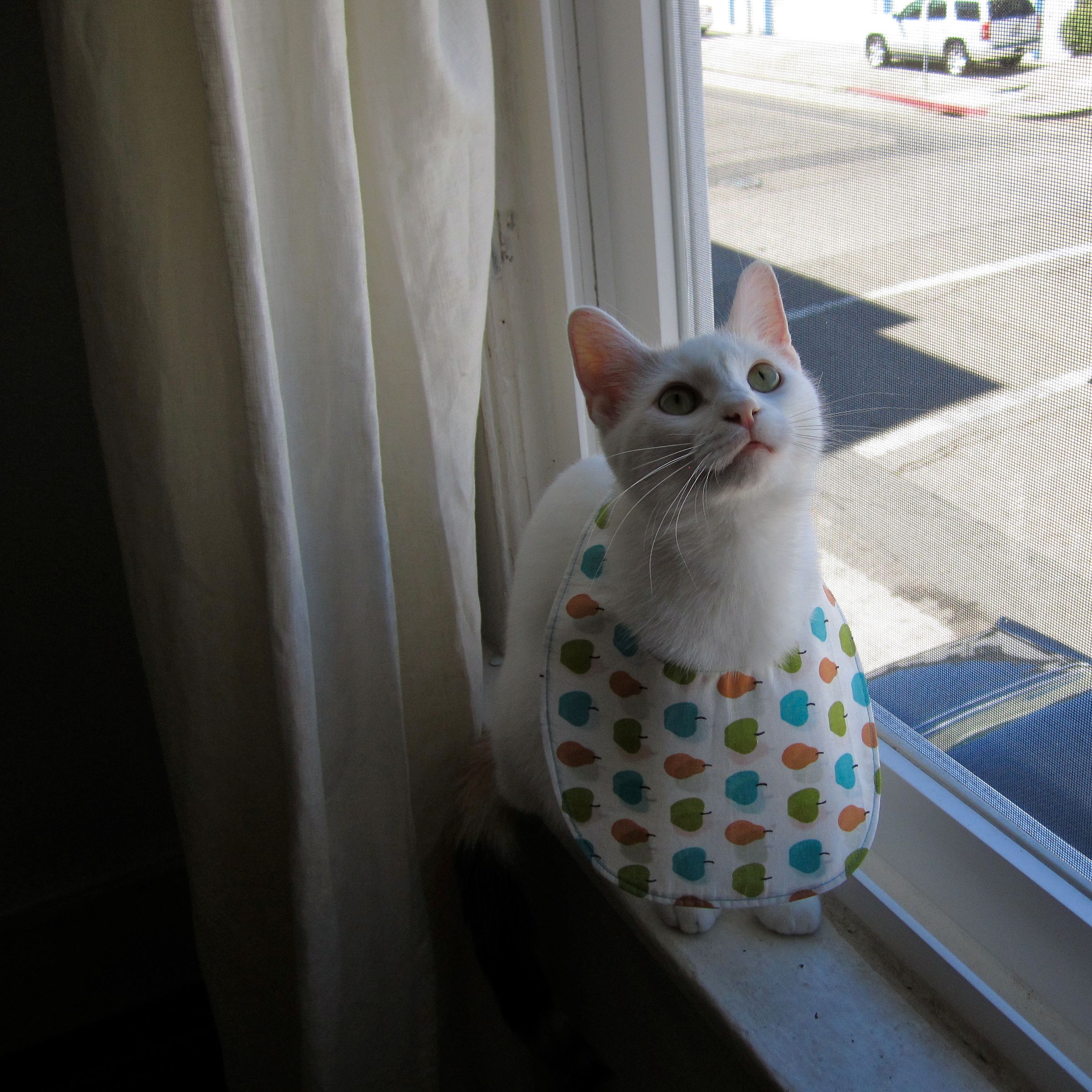 How to Sew a Baby Bib + Pattern : 9 Steps (with Pictures) - Instructables