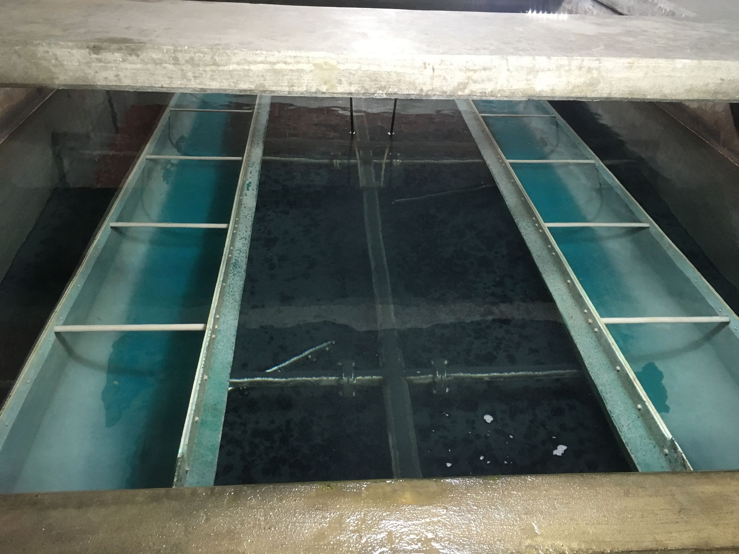 Filter Wash Process : 10 Steps - Instructables