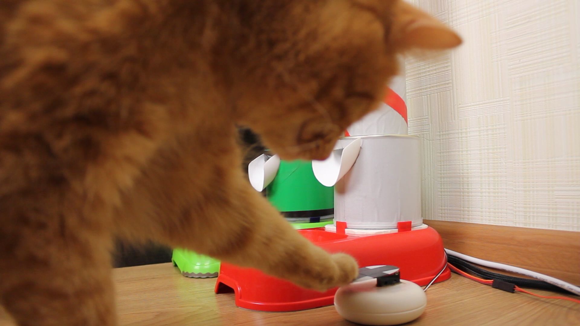Smart Cat Feeder : 8 Steps (with Pictures) - Instructables