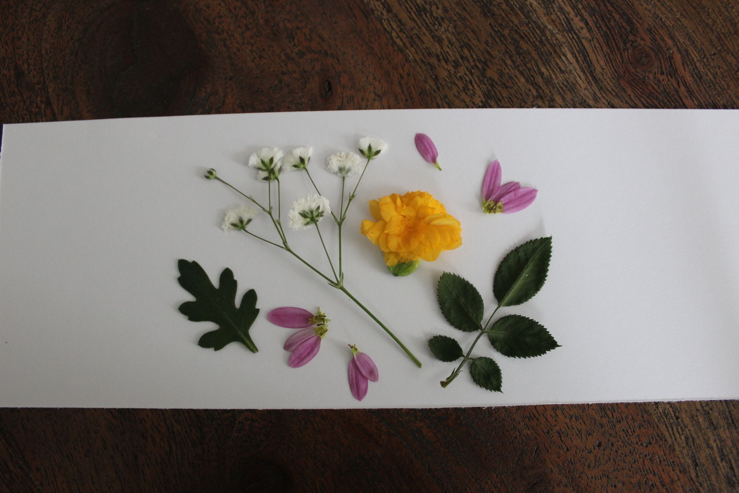 DIY Pressed Flower Card : 7 Steps (with Pictures) - Instructables