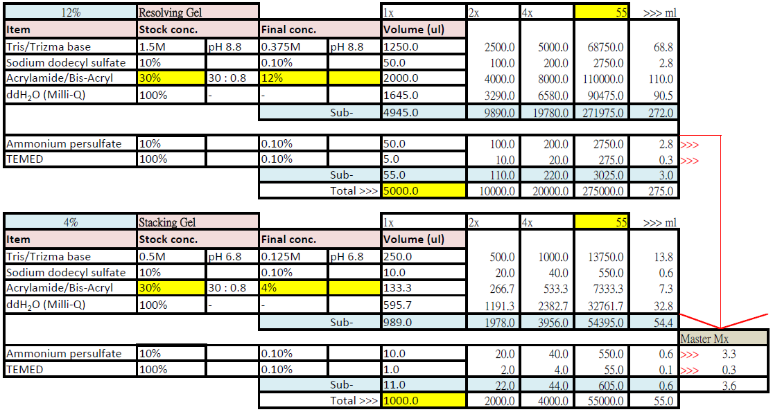 Evaluation for an APS/TEMED Aliquot in the SDS-PA Gel Protocol : 8 ...