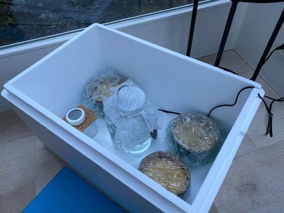 Dough Rising Box - DIY for Cheap - Instructables