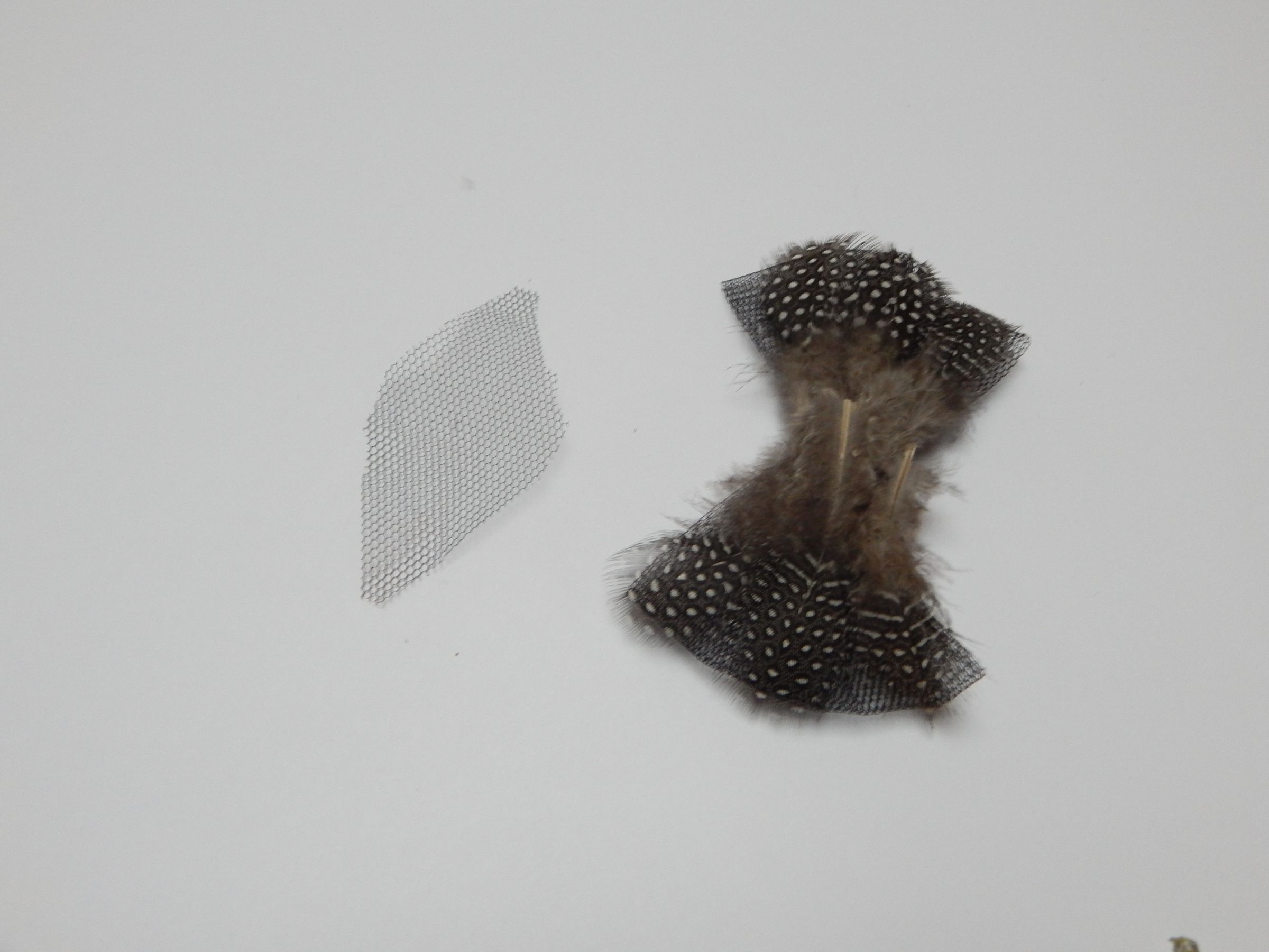 Diy Bow Tie From Featers ( Groom's) : 5 Steps (with Pictures ...