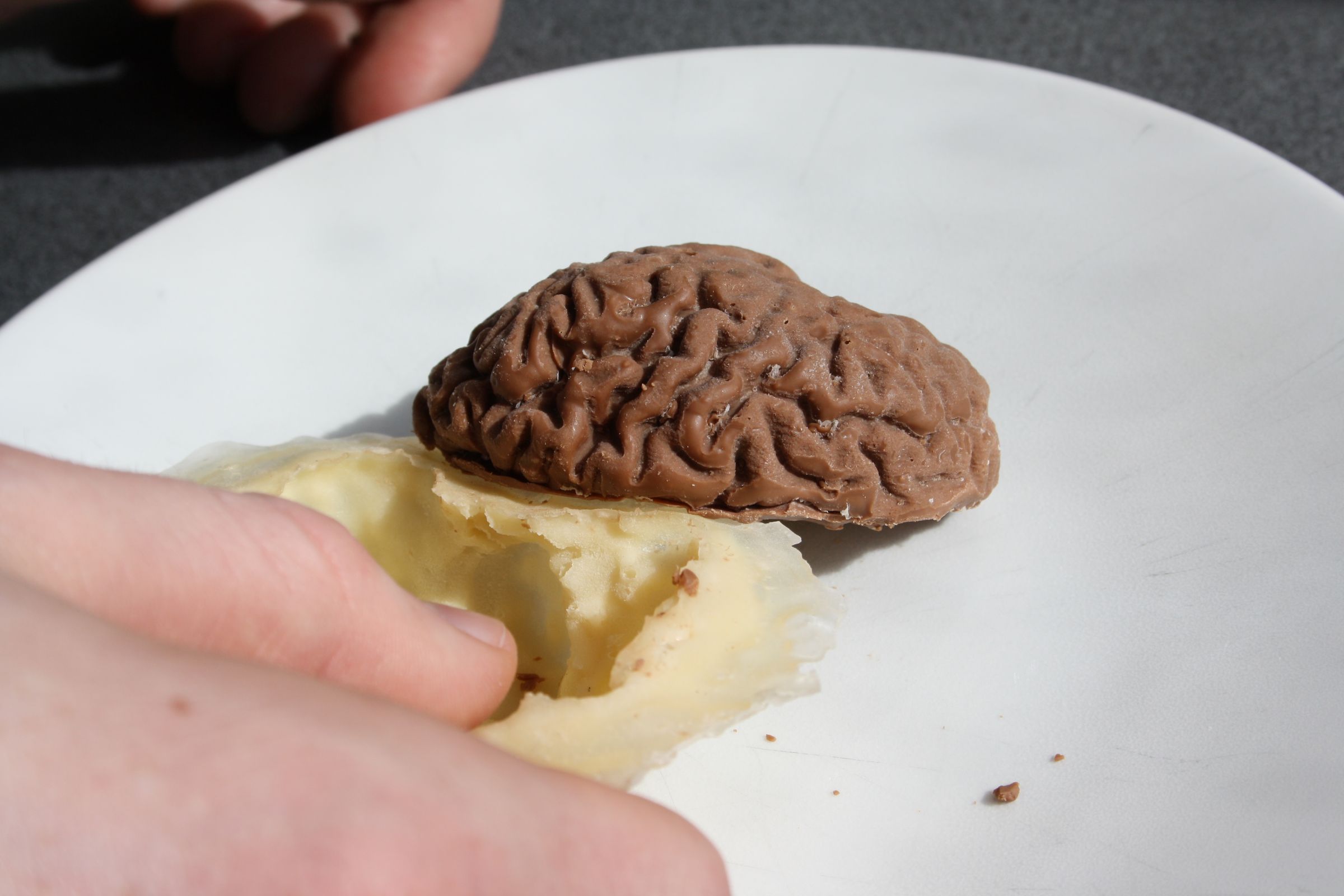 Edible Chocolate Brain From MRI Scan : 9 Steps (with Pictures ...