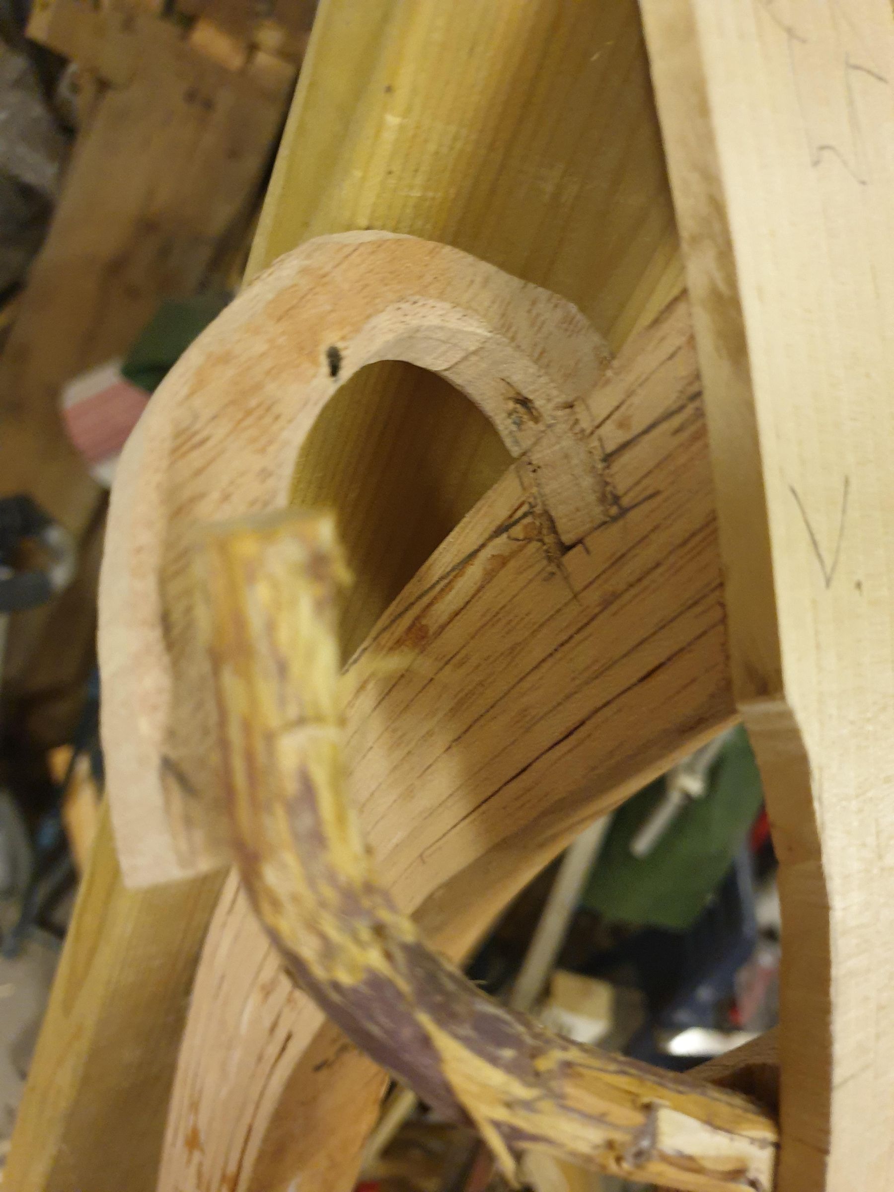 Handmade Wooden Ribcage : 8 Steps (with Pictures) - Instructables