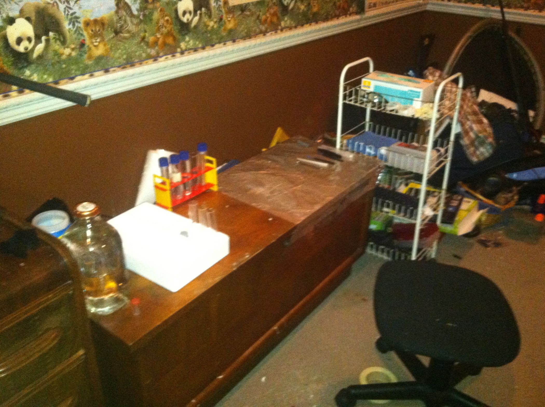 Home Chemistry Lab : 4 Steps - Instructables