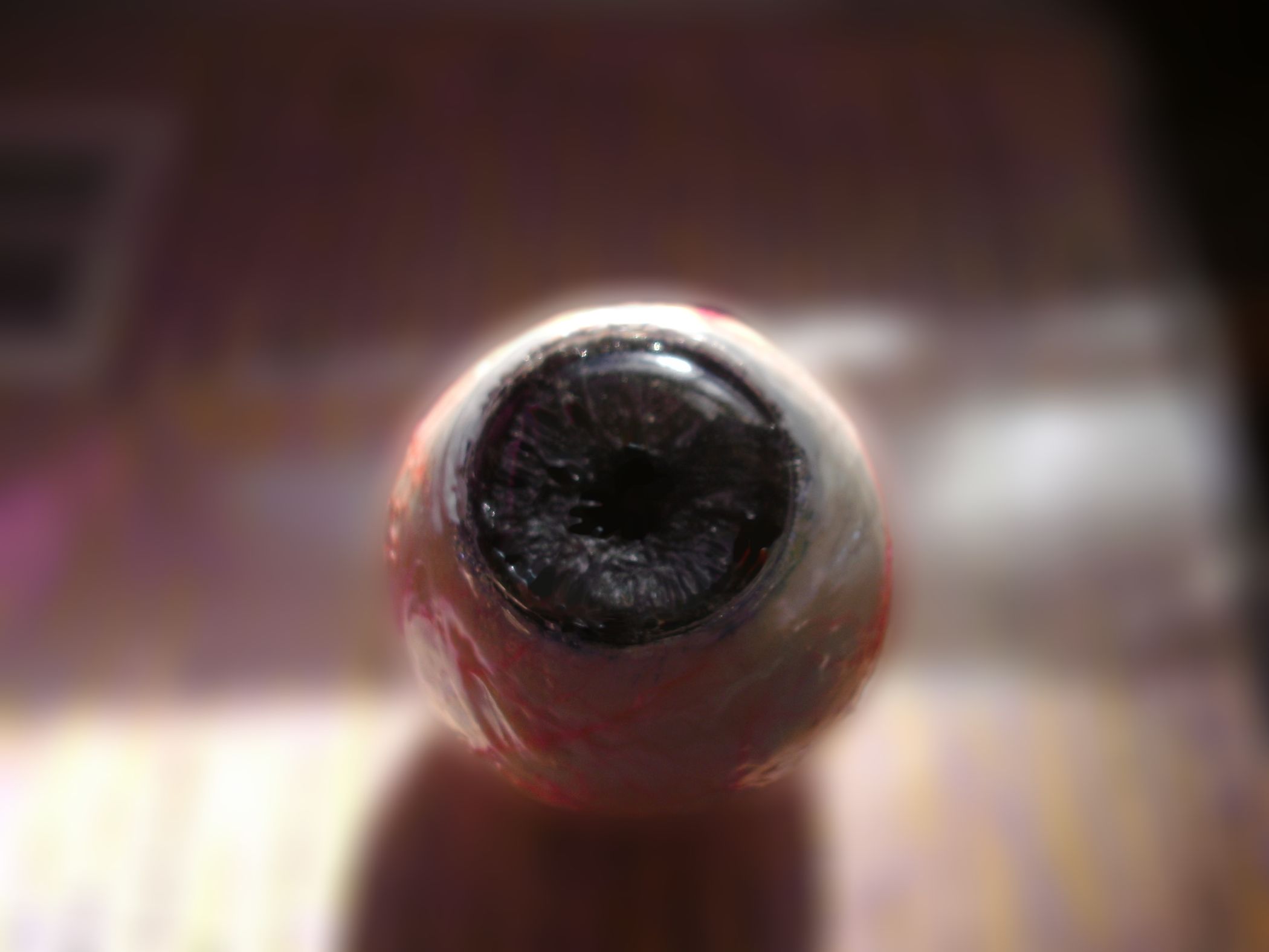 Eyeballs for Special Effects, Halloween, or Animatronics Really Cheap ...